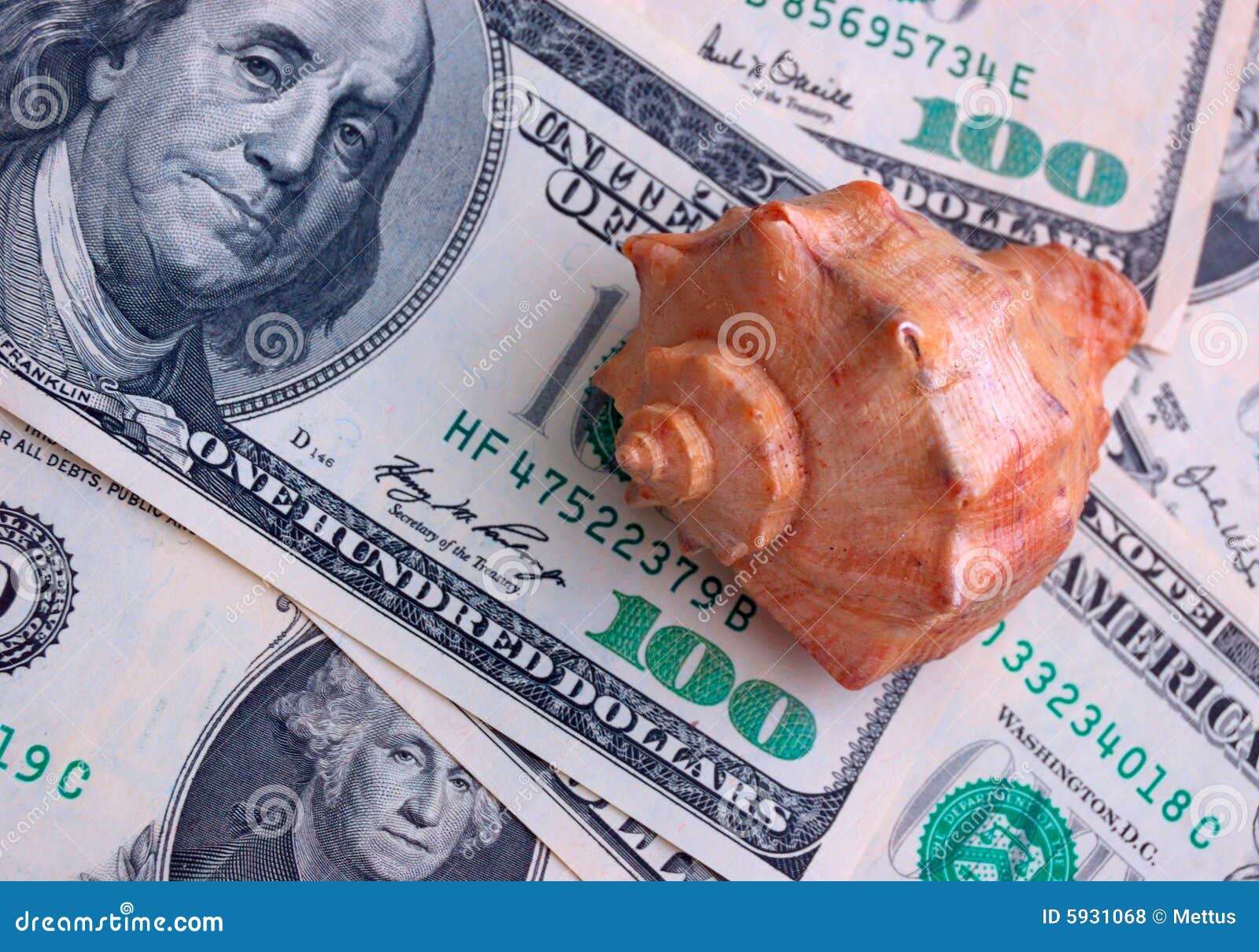 Sea shell on dollar bills stock photo. Image of green - 5931068