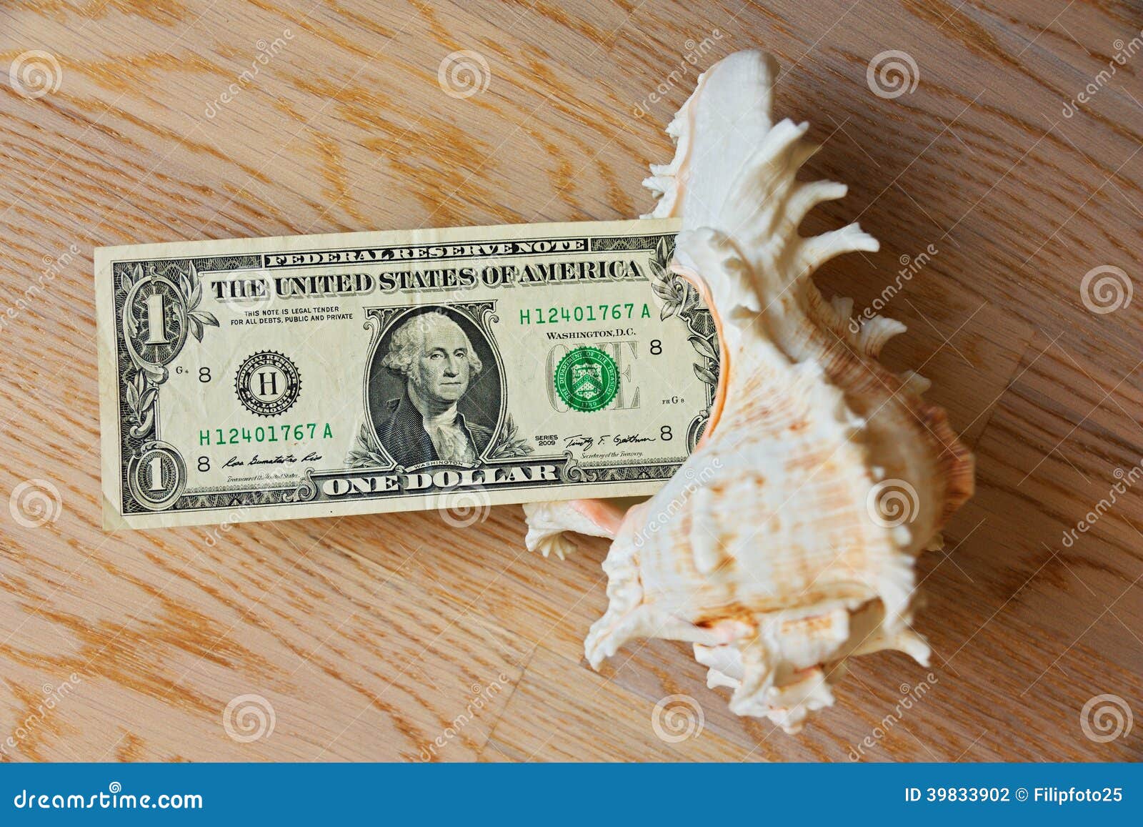 Sea shell on dollar bills stock photo. Image of green - 39833902