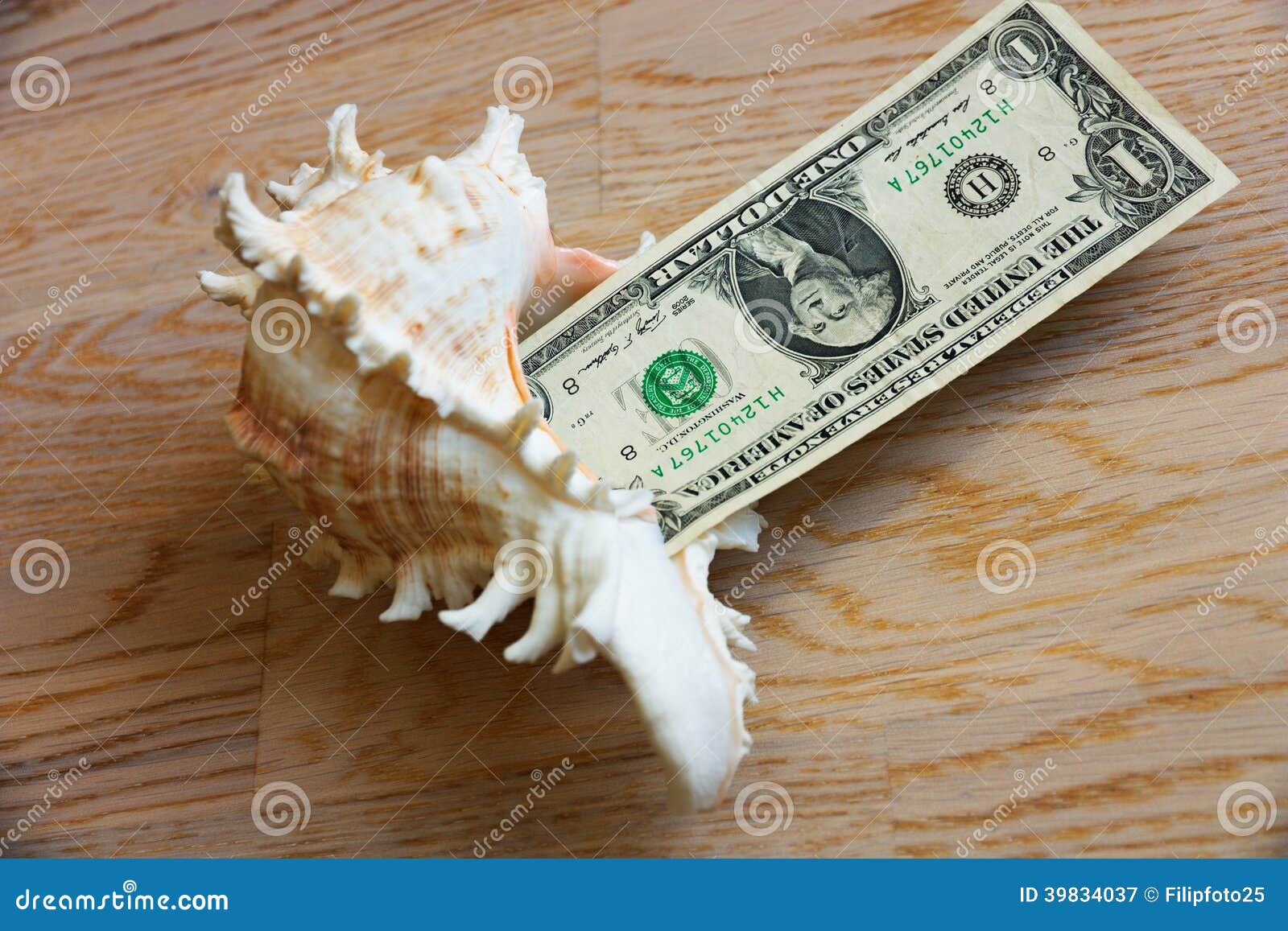 Sea shell on dollar bills stock image. Image of president - 39834037