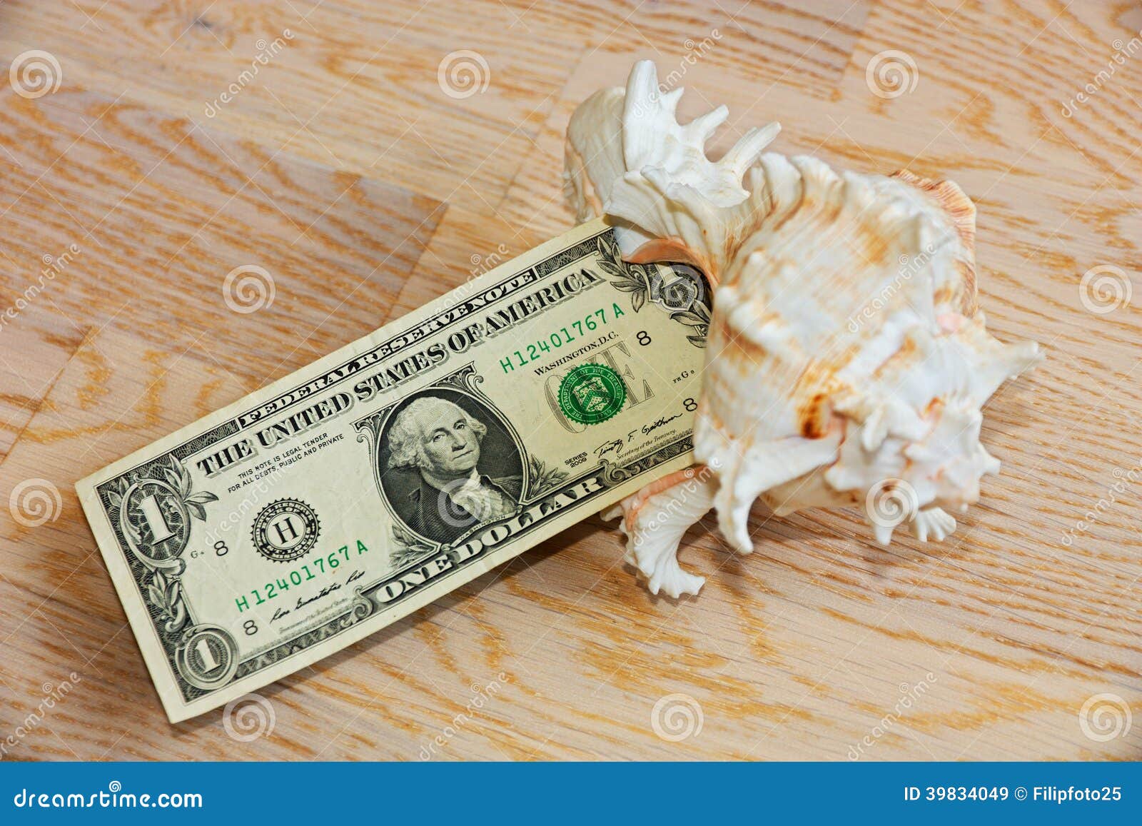 Sea shell on dollar bills stock image. Image of color - 39834049