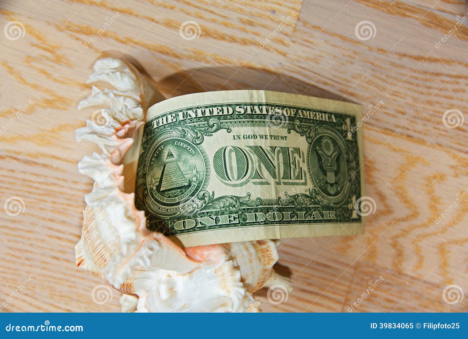 Sea shell on dollar bills stock image. Image of cruise - 39834065