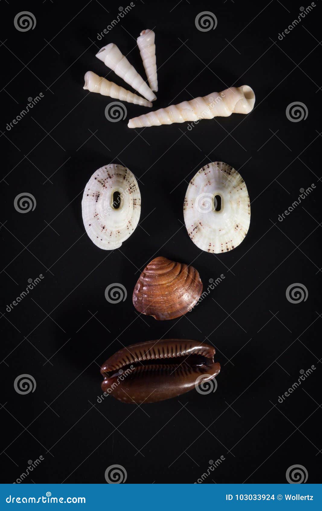 Sea shell faces stock photo. Image of identifiable, full - 103033924