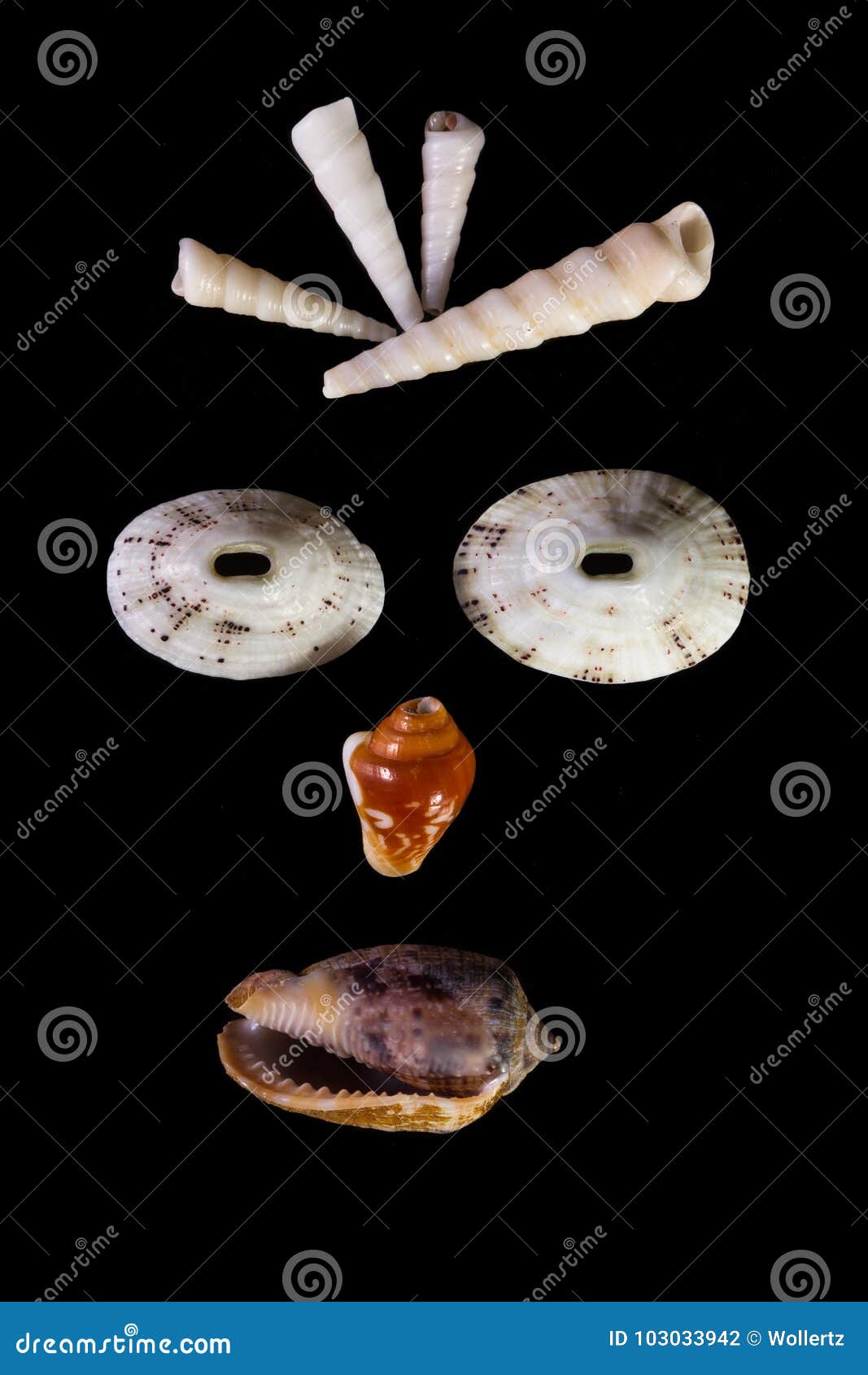Sea shell faces stock photo. Image of guide, emotional - 103033942
