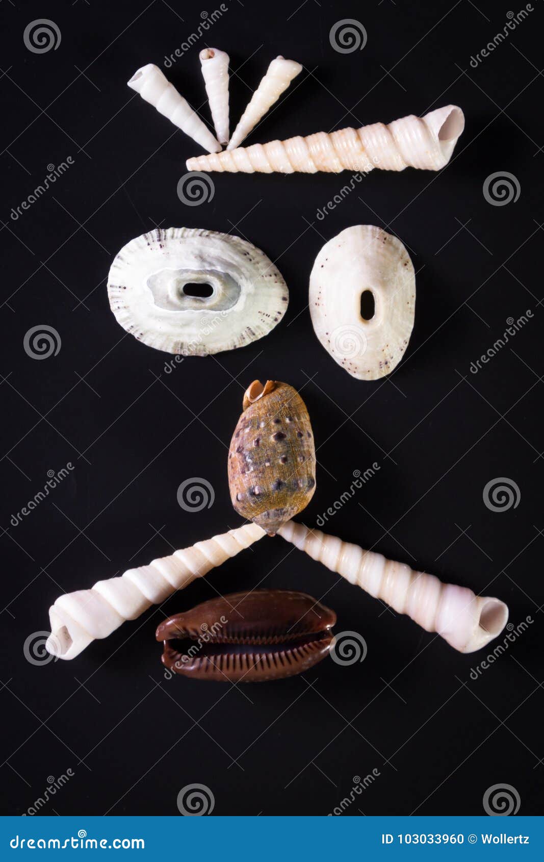 Sea shell faces stock photo. Image of expression, create - 103033960