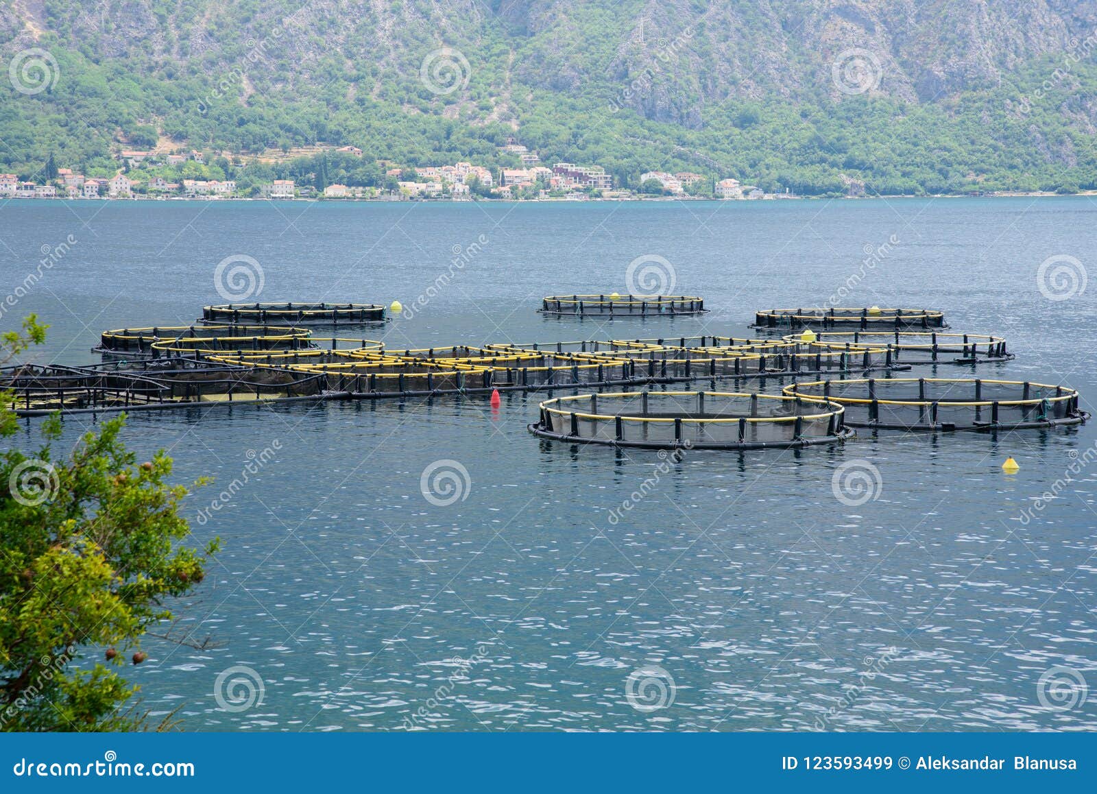 A Sea-shell Farm Overlooking the Mountains and the Sea Stock Image ...