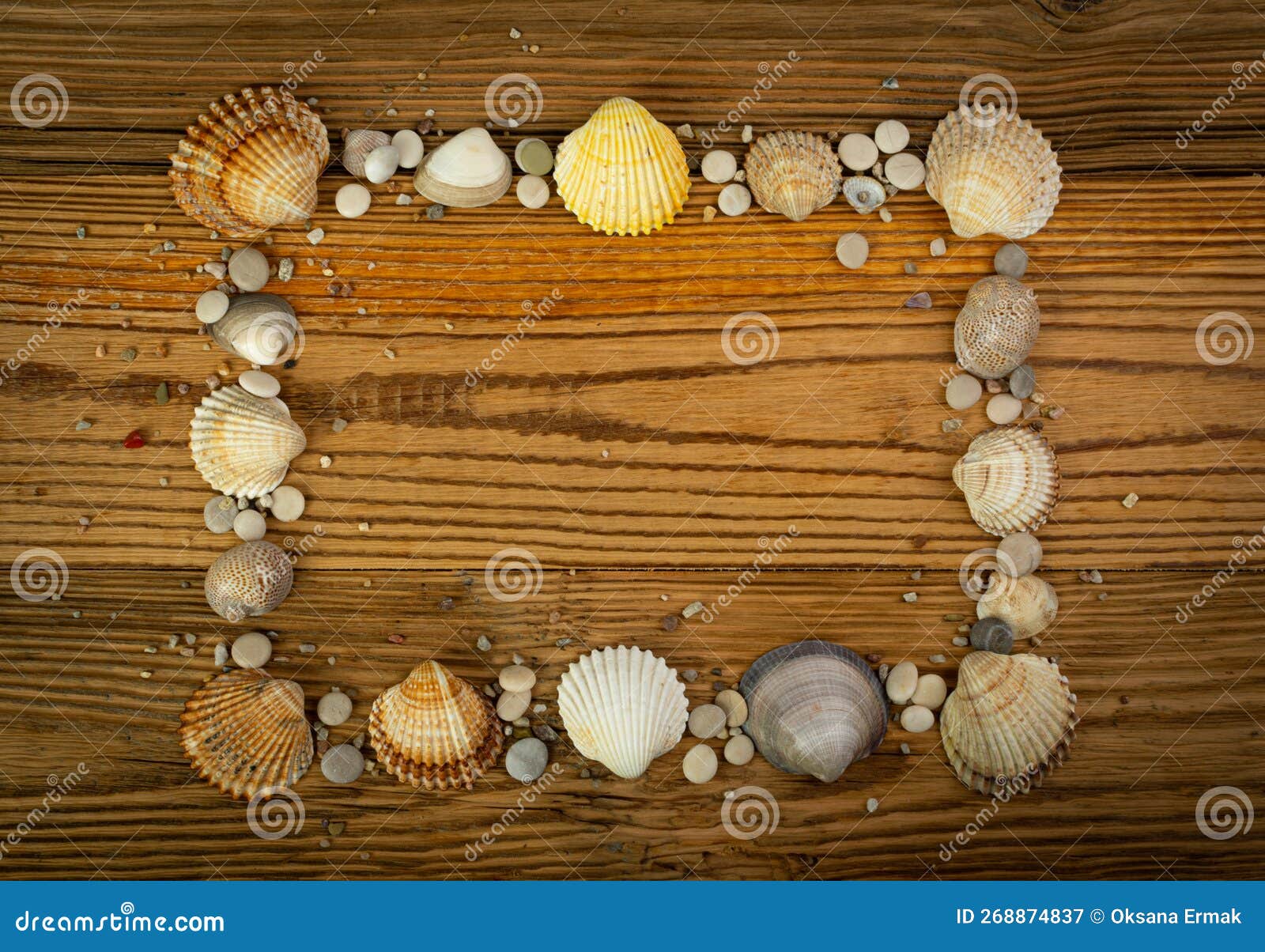 Sea Shell Frame, Multicolored Seashells Border, Mollusc Shells Pattern ...