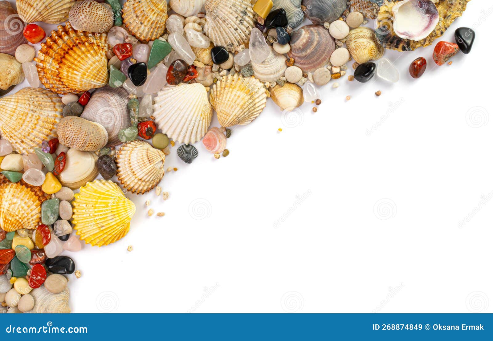 Sea Shell Frame, Multicolored Seashells Border, Mollusc Shells Pattern ...