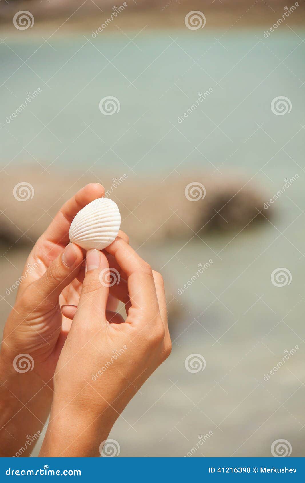 Sea shell in hand stock photo. Image of shell, nature - 41216398
