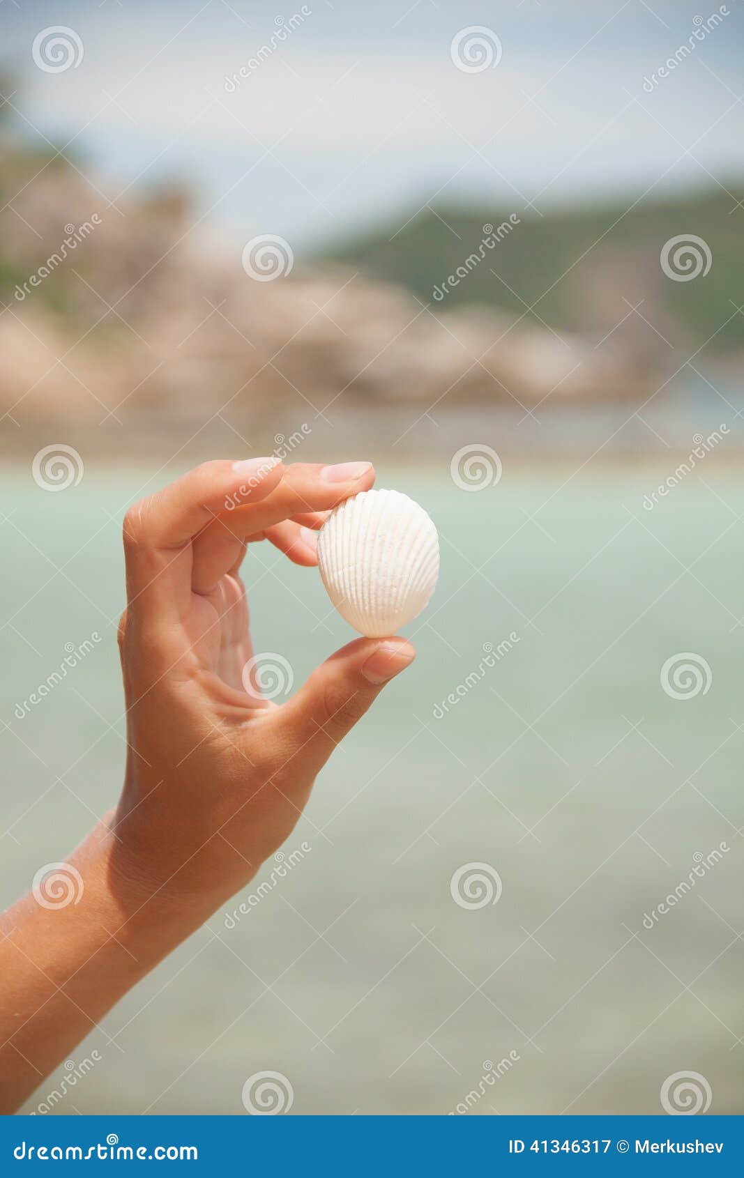 Sea shell in hand stock image. Image of seashell, tropical - 41346317