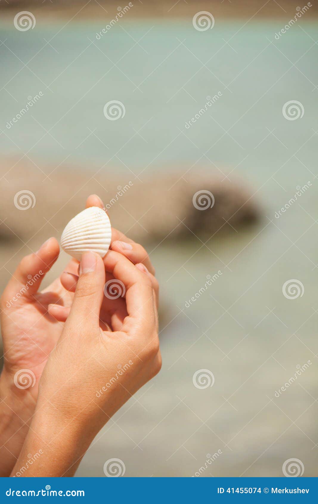 Sea shell in hand stock photo. Image of seashell, shells - 41455074