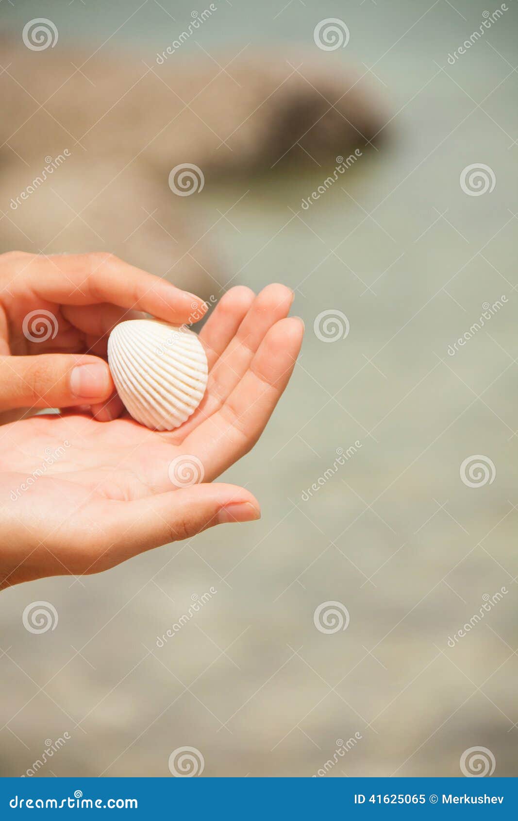 Sea shell in hand stock image. Image of nature, ocean - 41625065