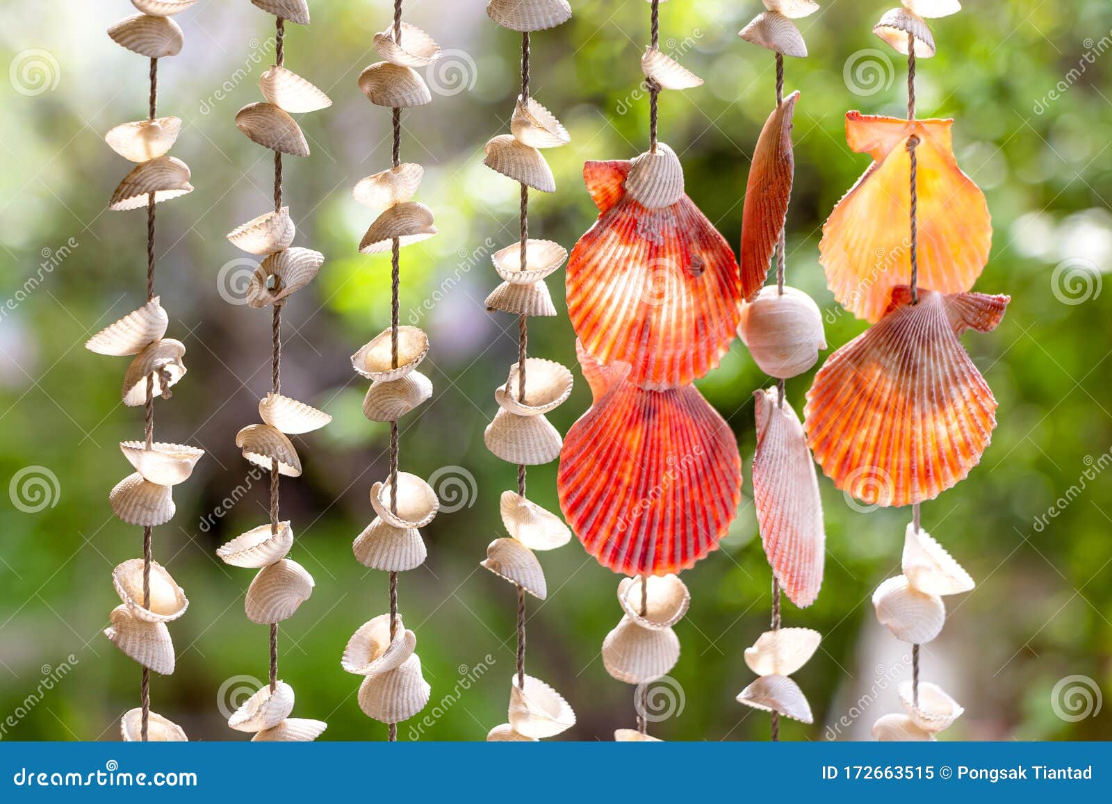 Sea Shell Hanging with Bokeh Background. the Hanging Curtains Made of ...