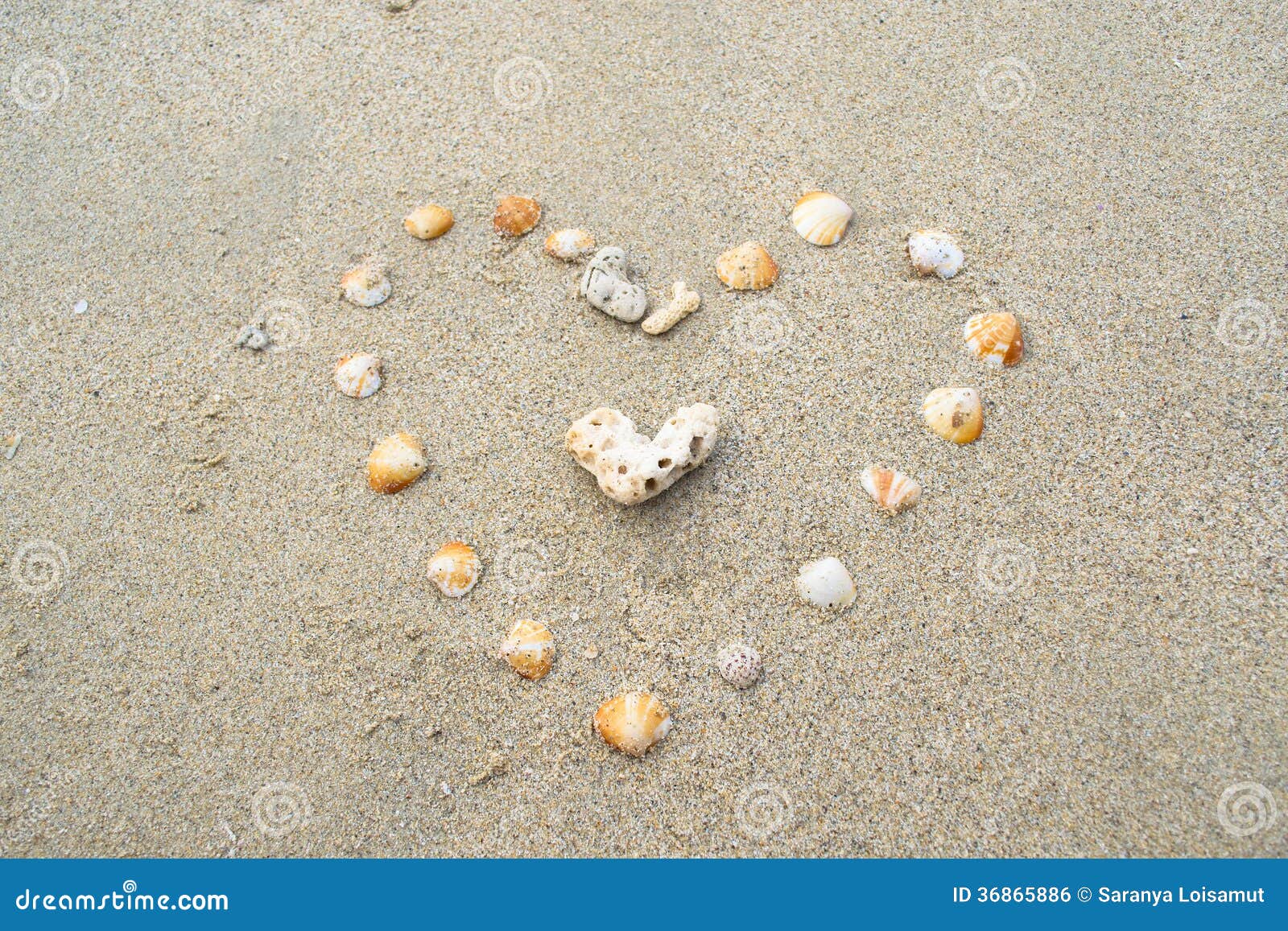 Sea Shell Heart on Sand Background Stock Photo - Image of blank, smooth ...