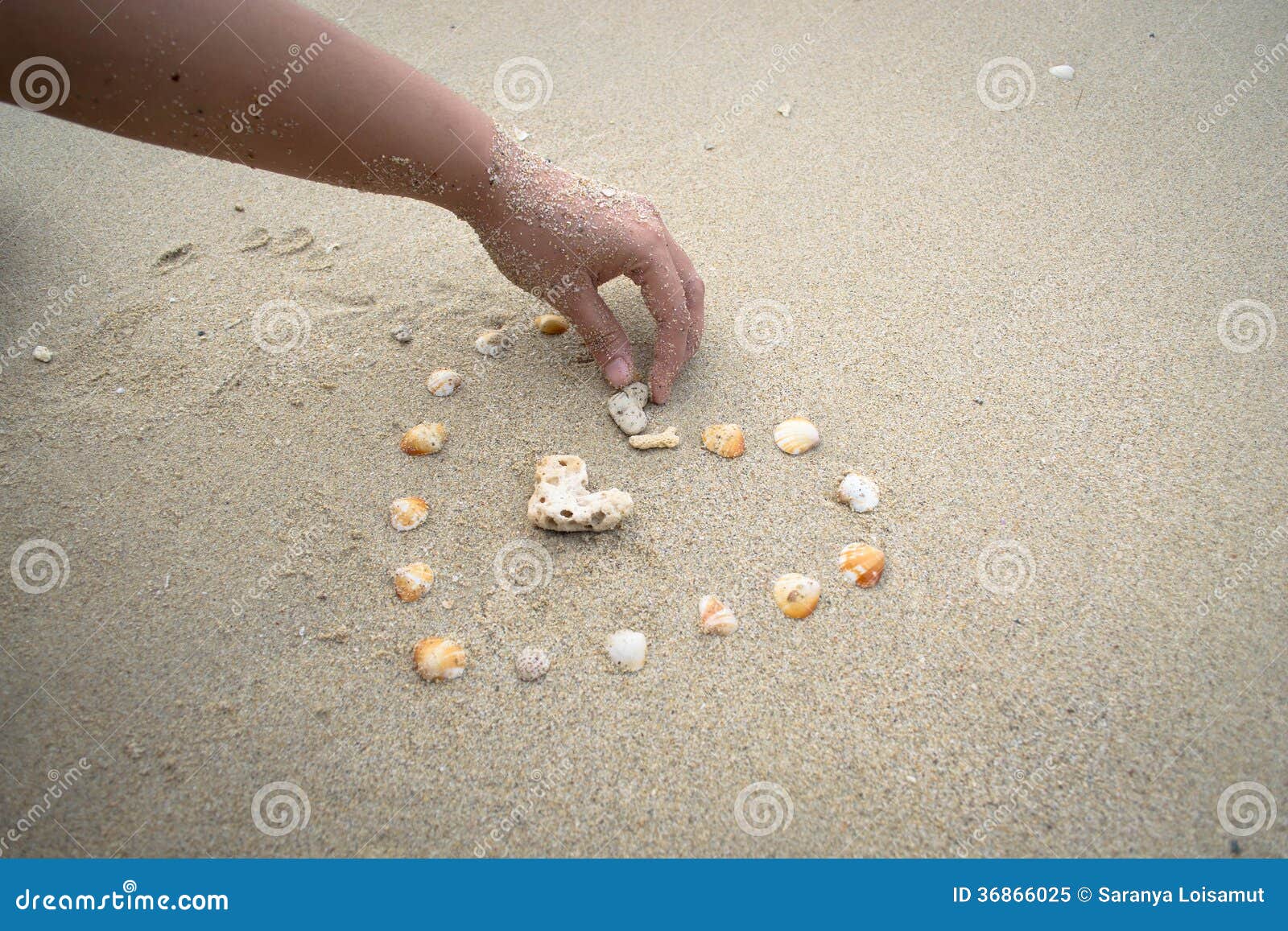 Sea Shell Heart on Sand Background Stock Image - Image of seashells ...