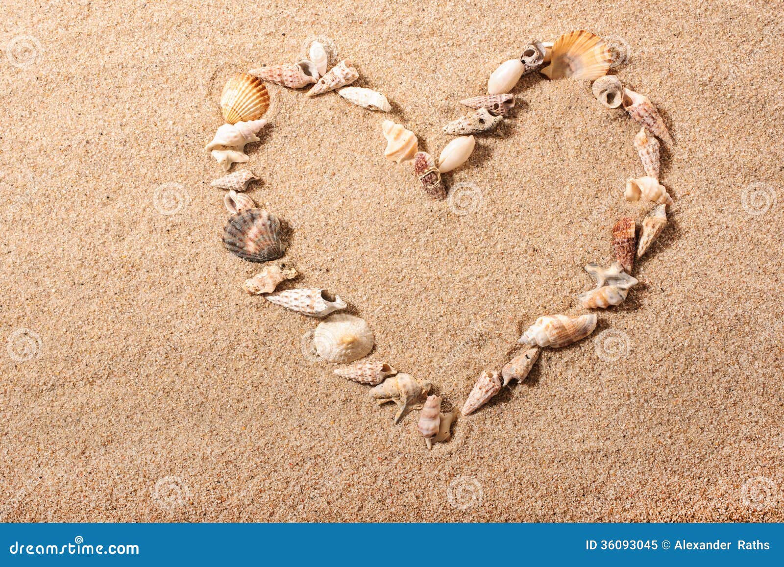 Heart Seashells In Sand