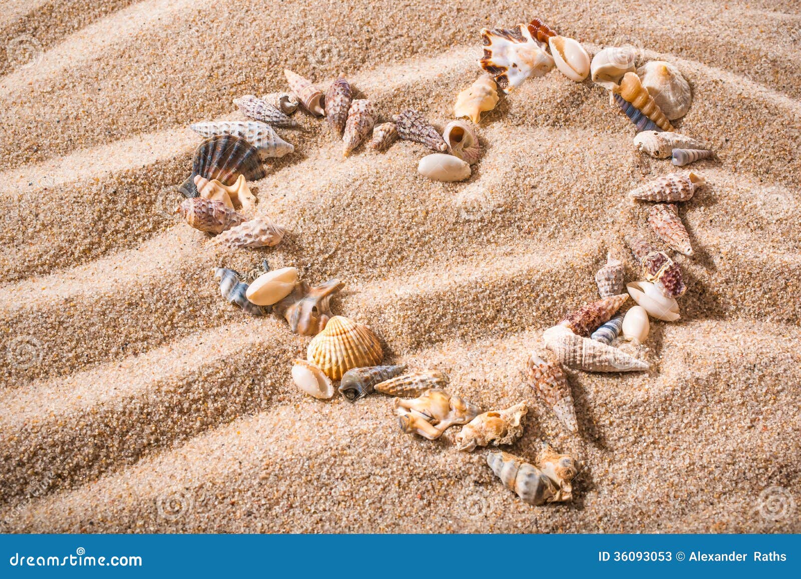 Sea shell heart shape stock image. Image of shell, symbol - 36093053