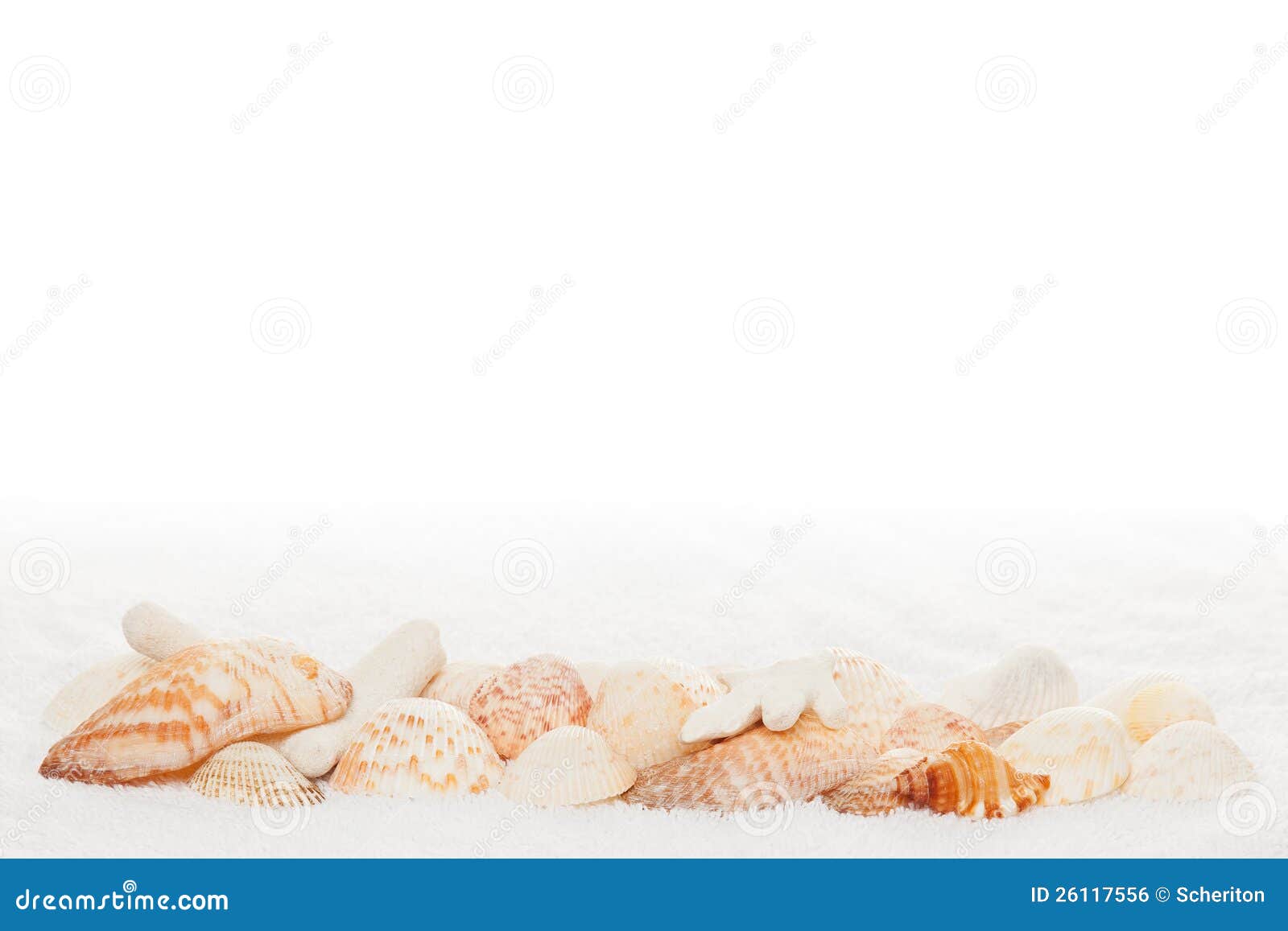 Sea Shell Horizontal Border on White Towel Stock Photo - Image of close ...