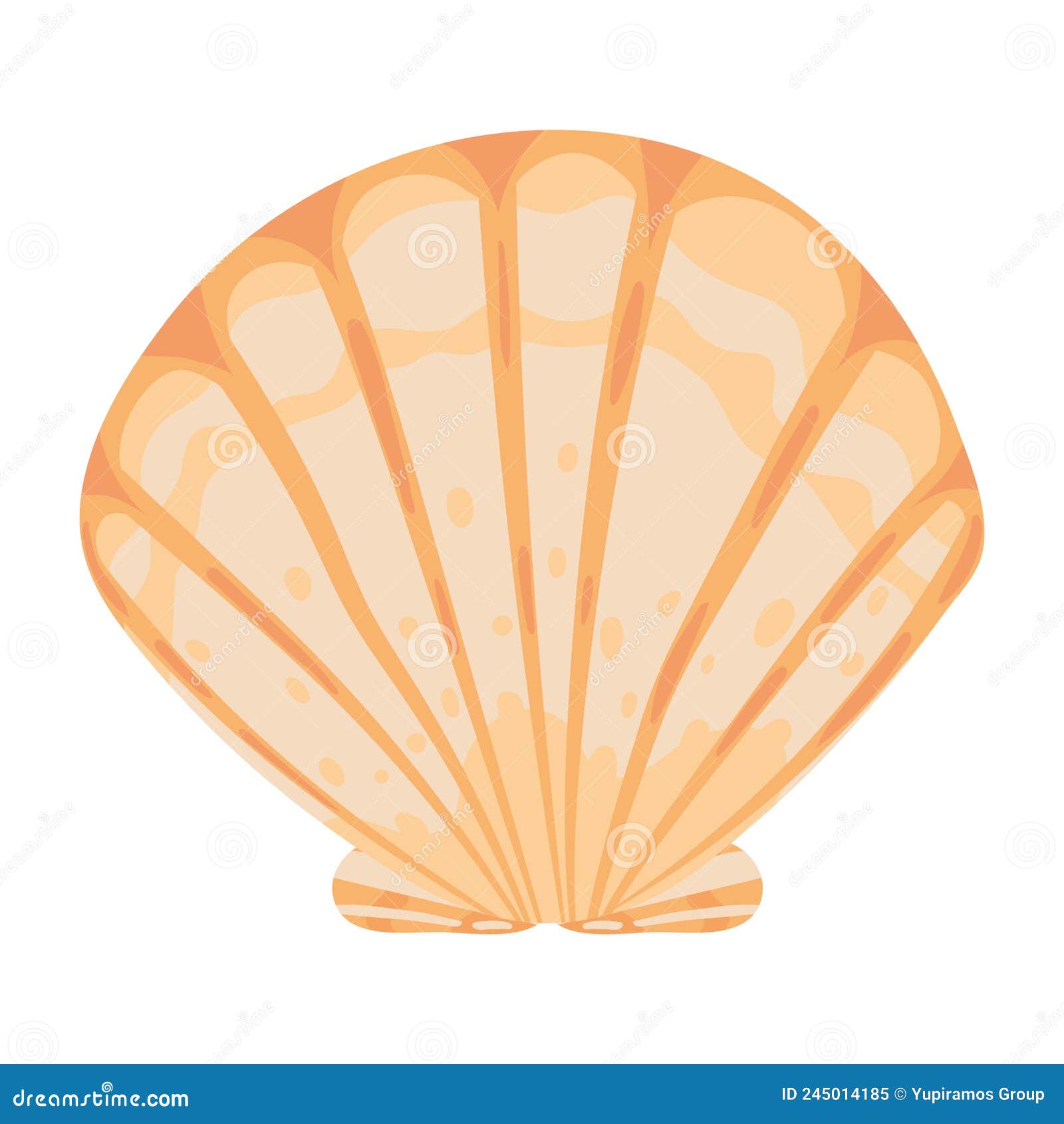 Sea shell icon stock vector. Illustration of marine - 245014185
