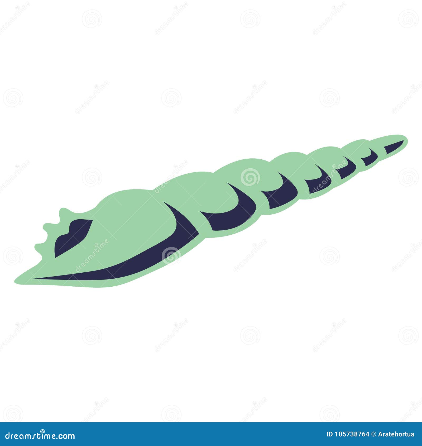 Sea Shell Isolated on White Background Stock Illustration ...