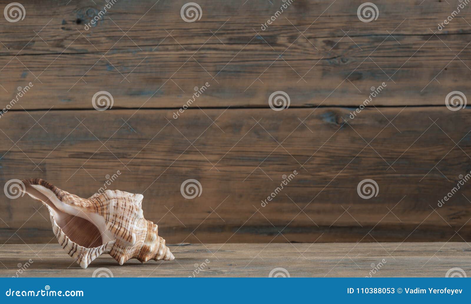 Sea Shells on Rustic Wooden Table Stock Image - Image of wood, copy ...