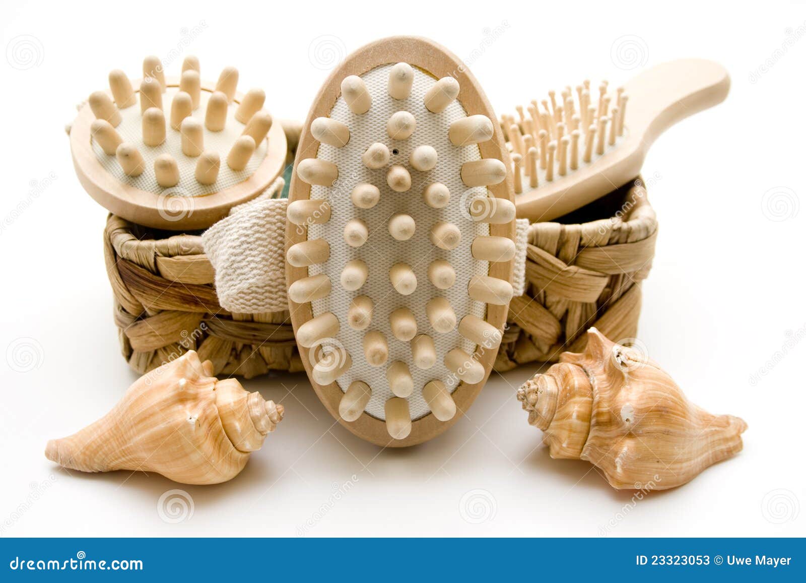 Sea Shell with Massage and Hairbrush Stock Image - Image of implements ...
