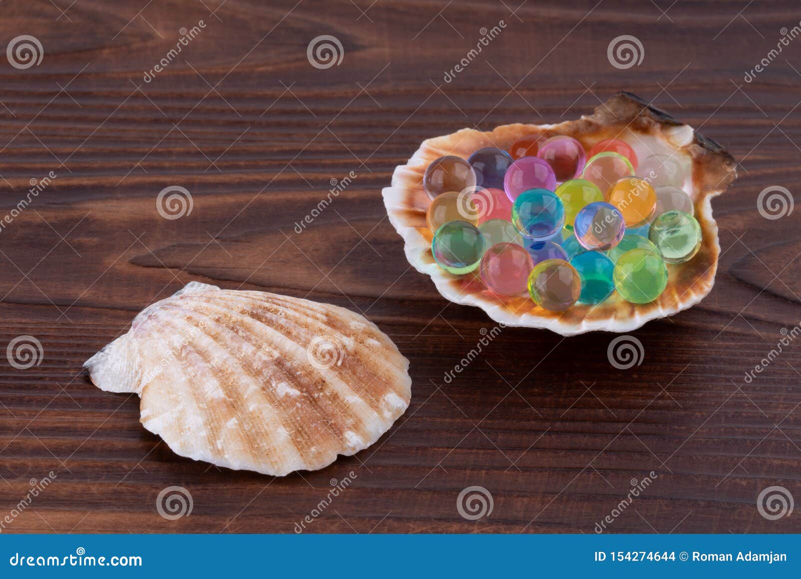 Sea Shell with Multicolored Hydrogel Balls Macro Stock Photo - Image of ...