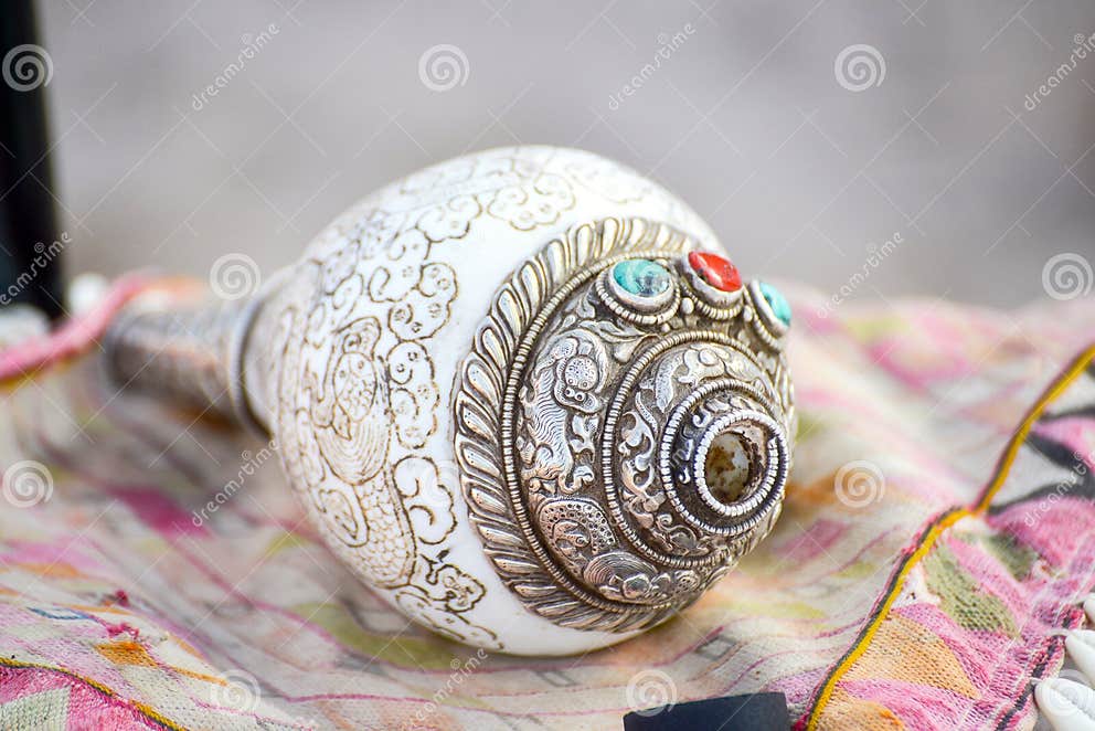 Sea Shell Musical Instrument Stock Image - Image of musical, horn: 28186935
