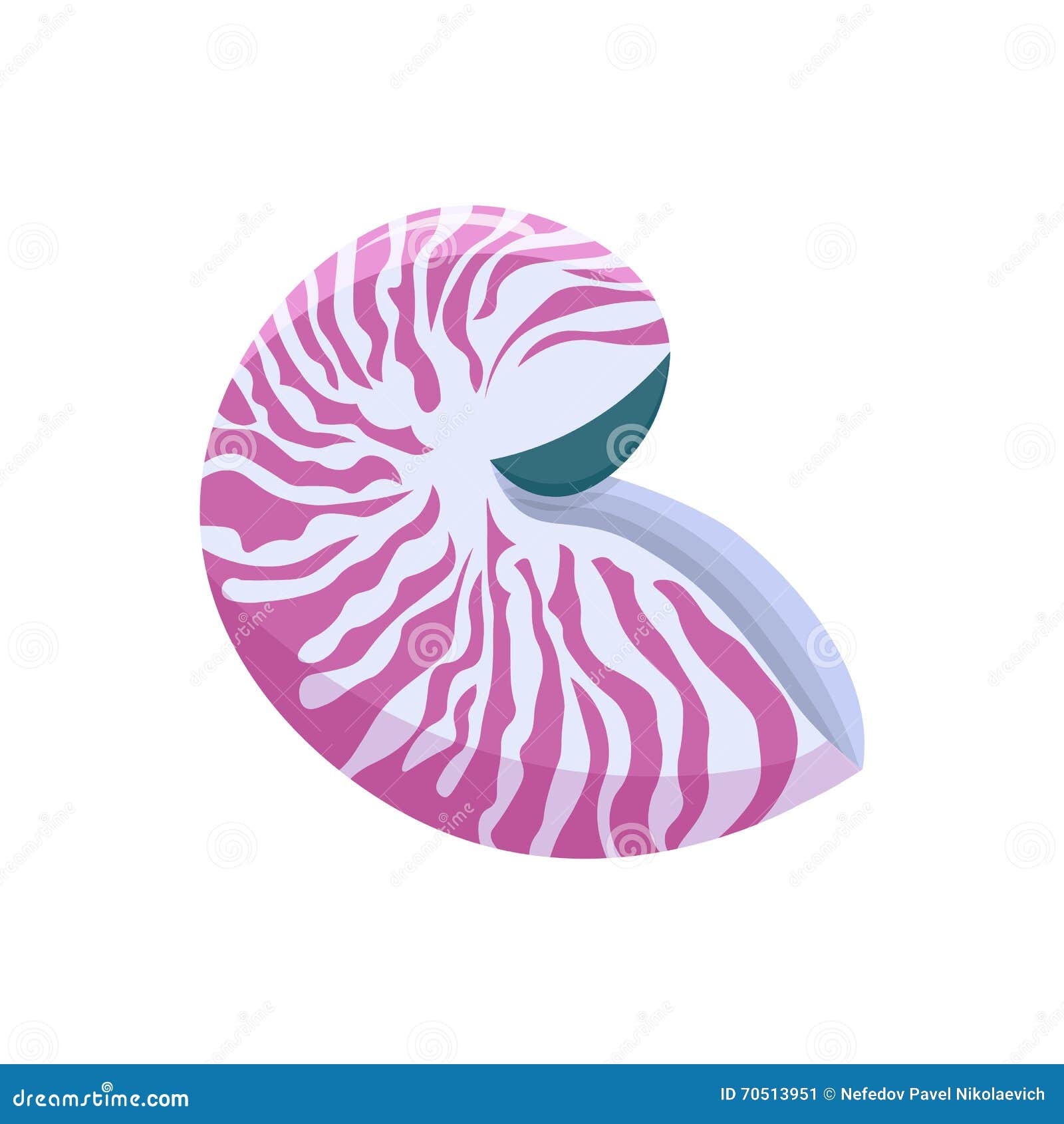 Sea Shell Nautilus. Hand Drawn Sketch Style Vector Drawing Of Tropic ...