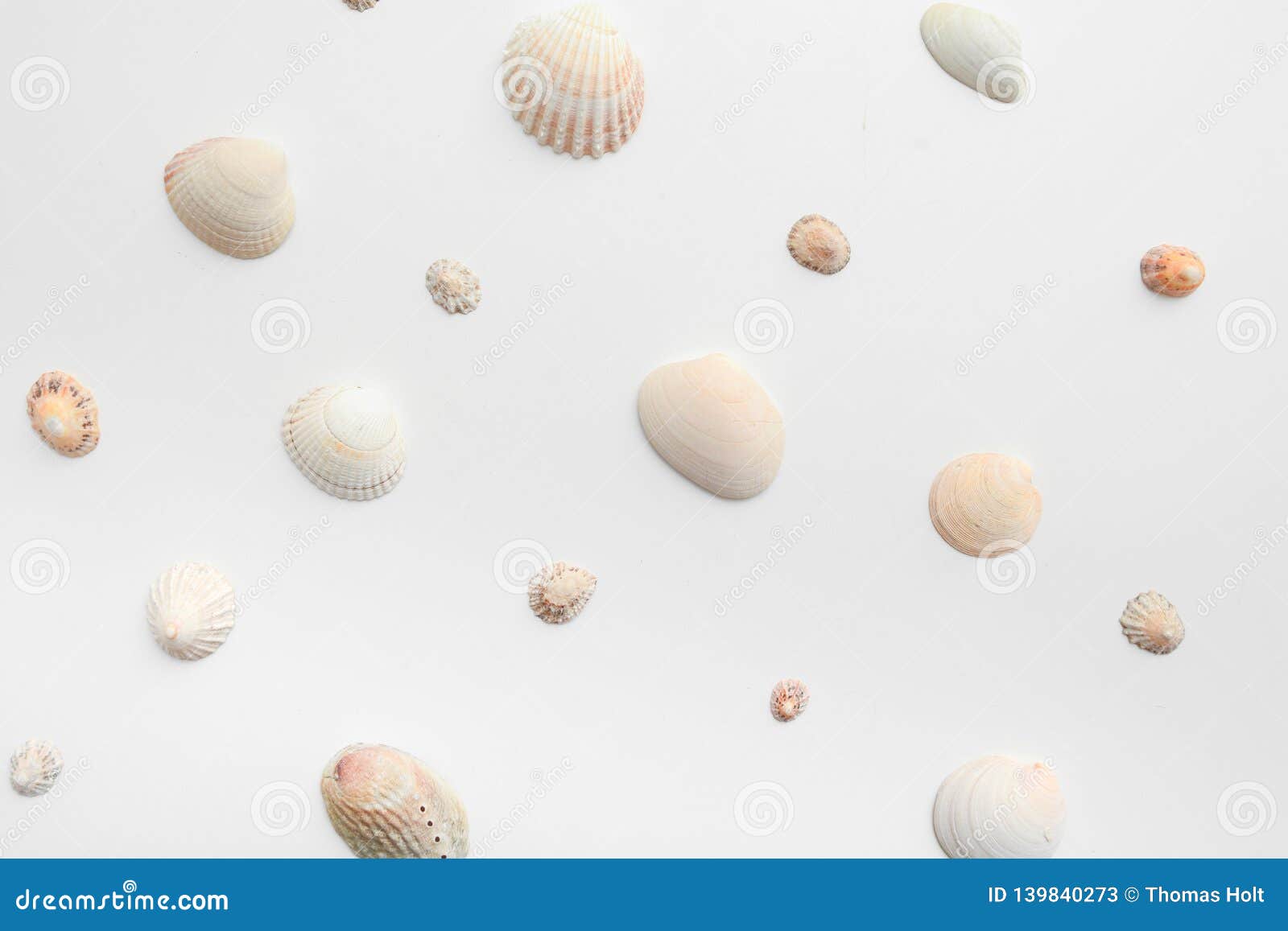 Seaside themed pattern stock image. Image of ocean, flat - 139840273