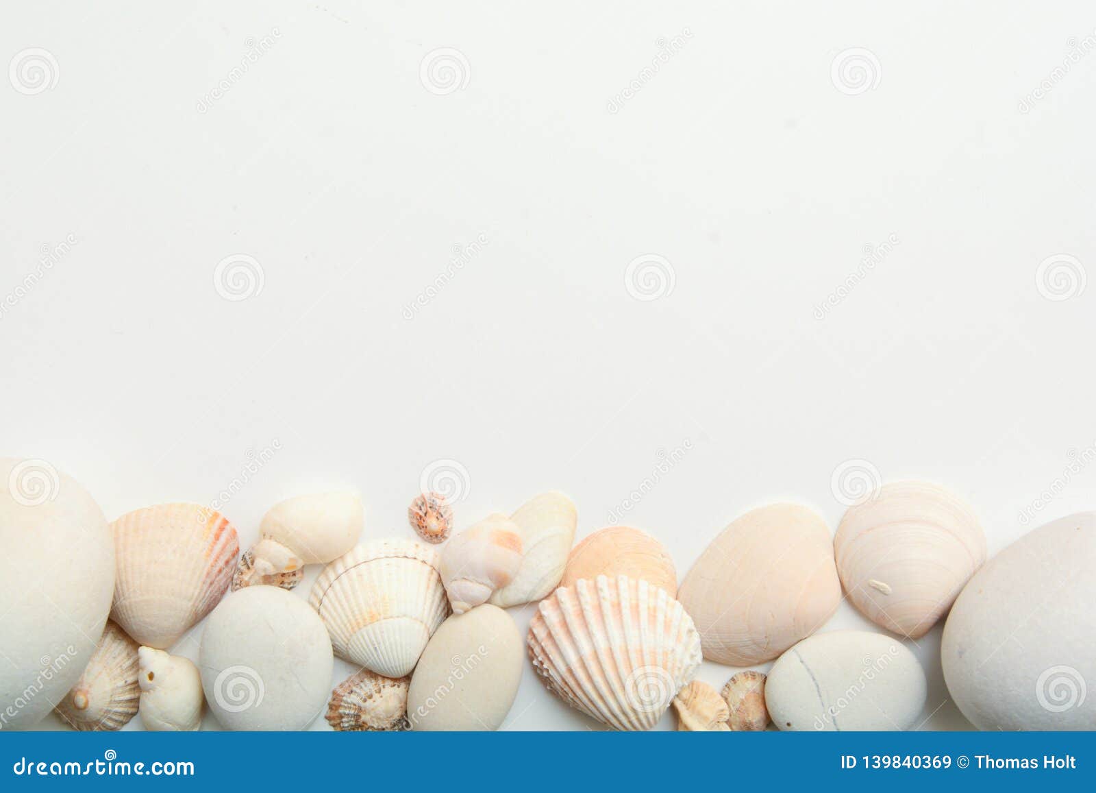 Seaside themed pattern stock image. Image of shells - 139840369