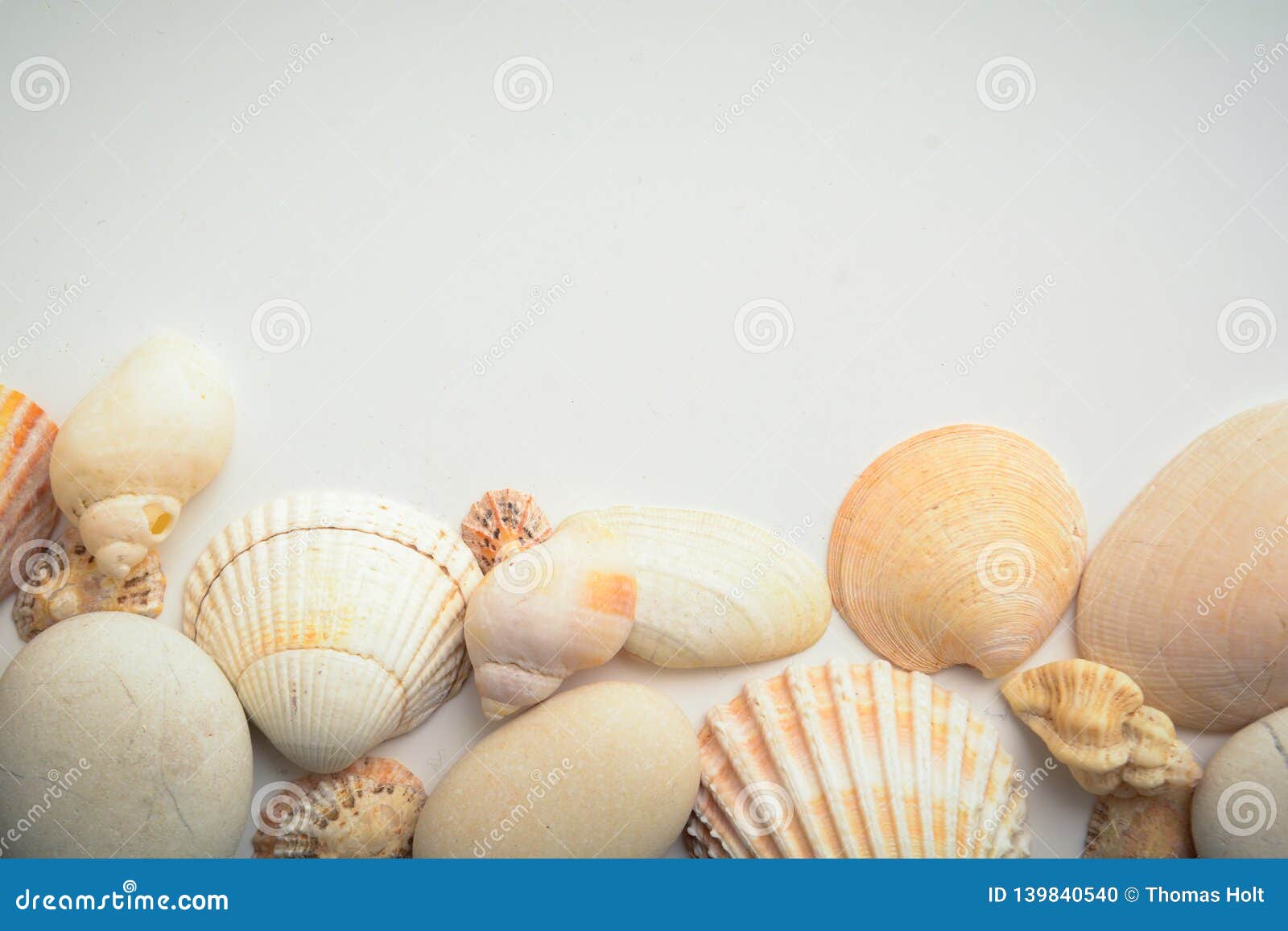 Seaside themed pattern stock photo. Image of shell, shells - 139840540