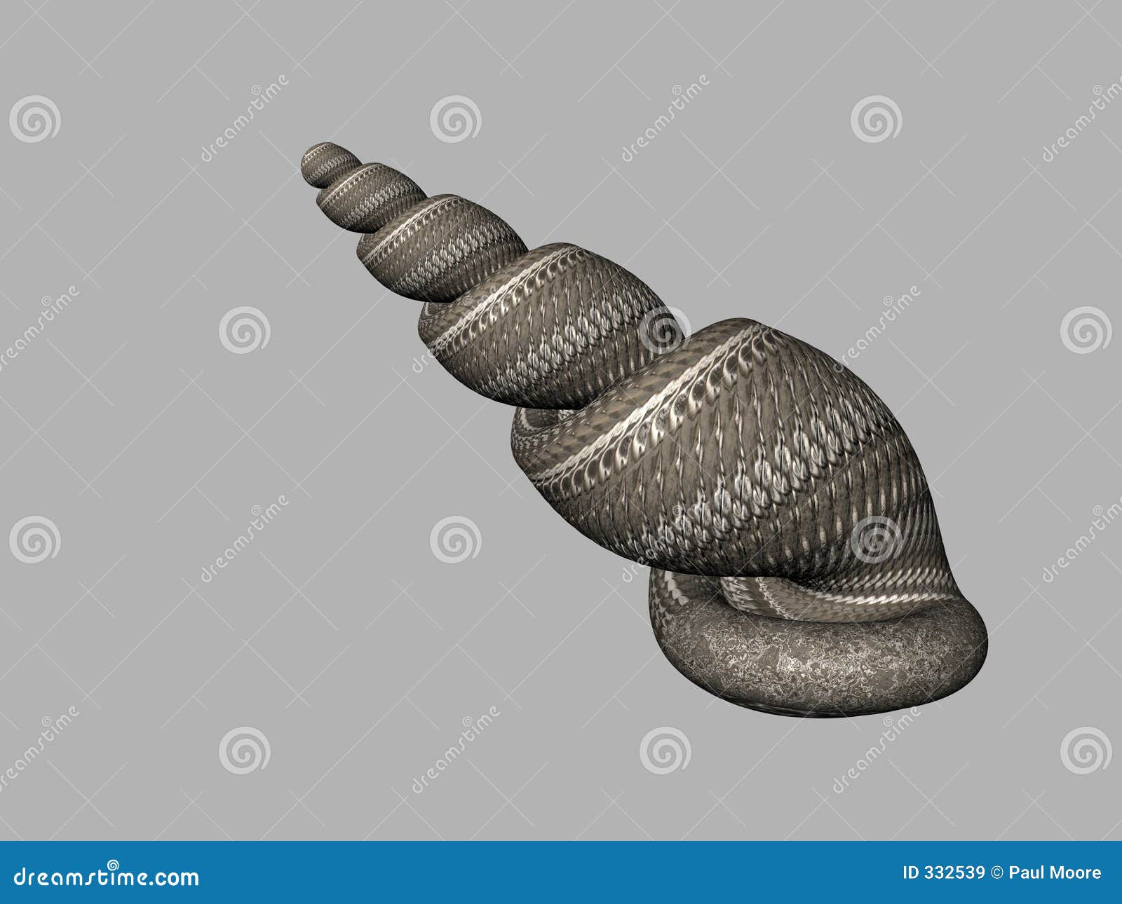 Sea Shell One stock illustration. Illustration of shellfish - 332539