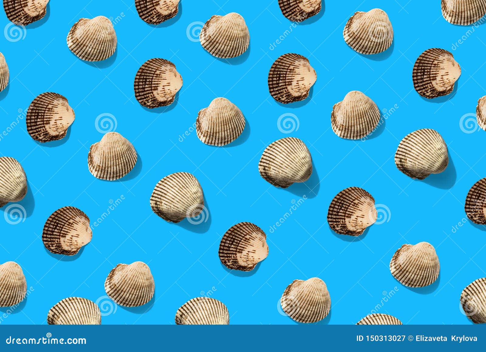 Sea Shell Pattern on Blue. Summer Minimalistic Background. Top View ...