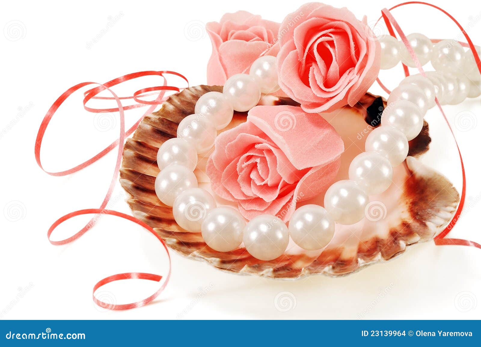 Sea Shell with Pearls and a Rose Stock Photo - Image of clamshell ...