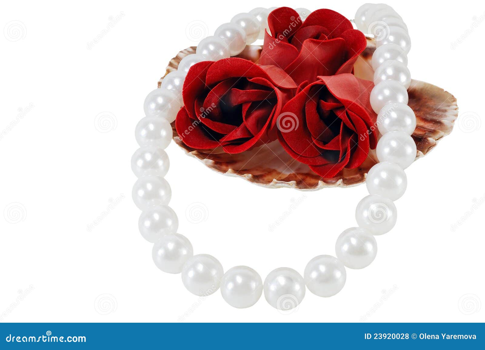 Sea Shell with Pearls and a Rose Stock Photo - Image of pearls ...