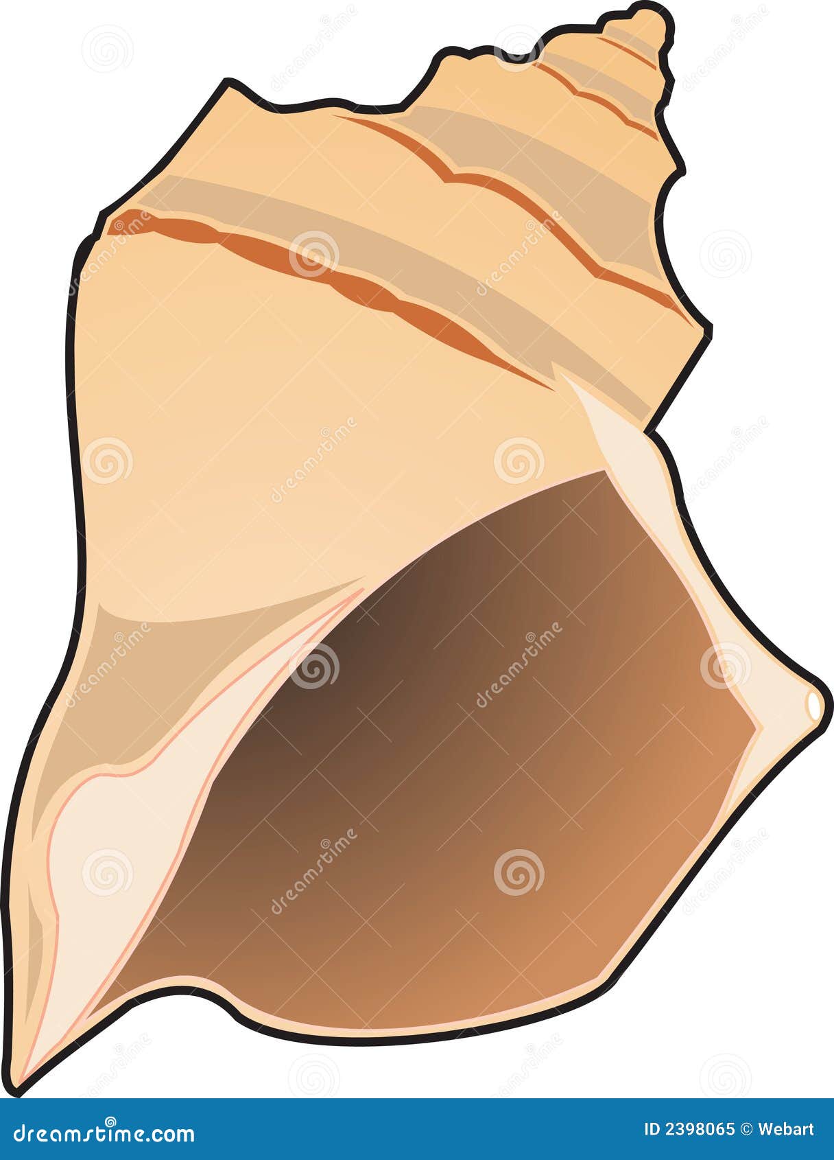 Periwinkle Cartoons, Illustrations & Vector Stock Images - 7935 ...