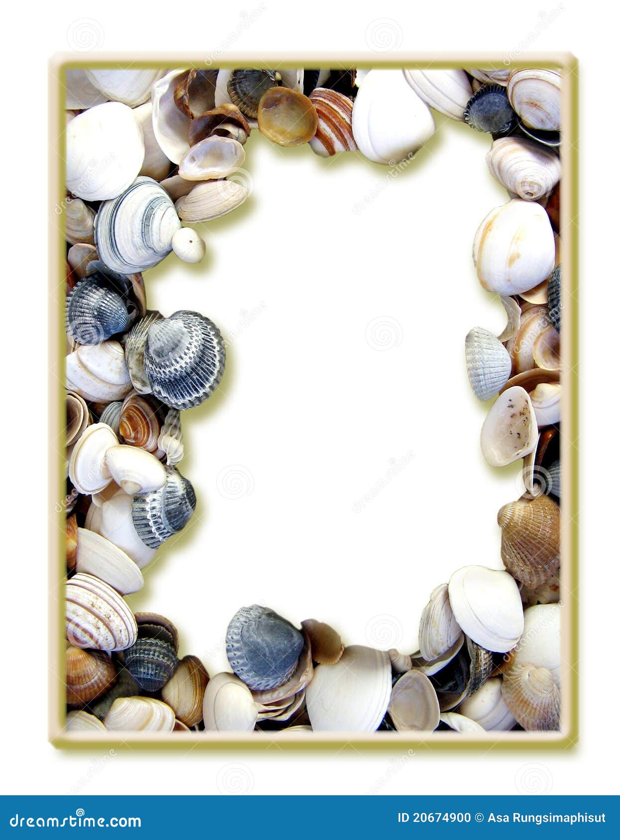 Sea Shell Picture Frame stock photo. Image of cockle - 20674900