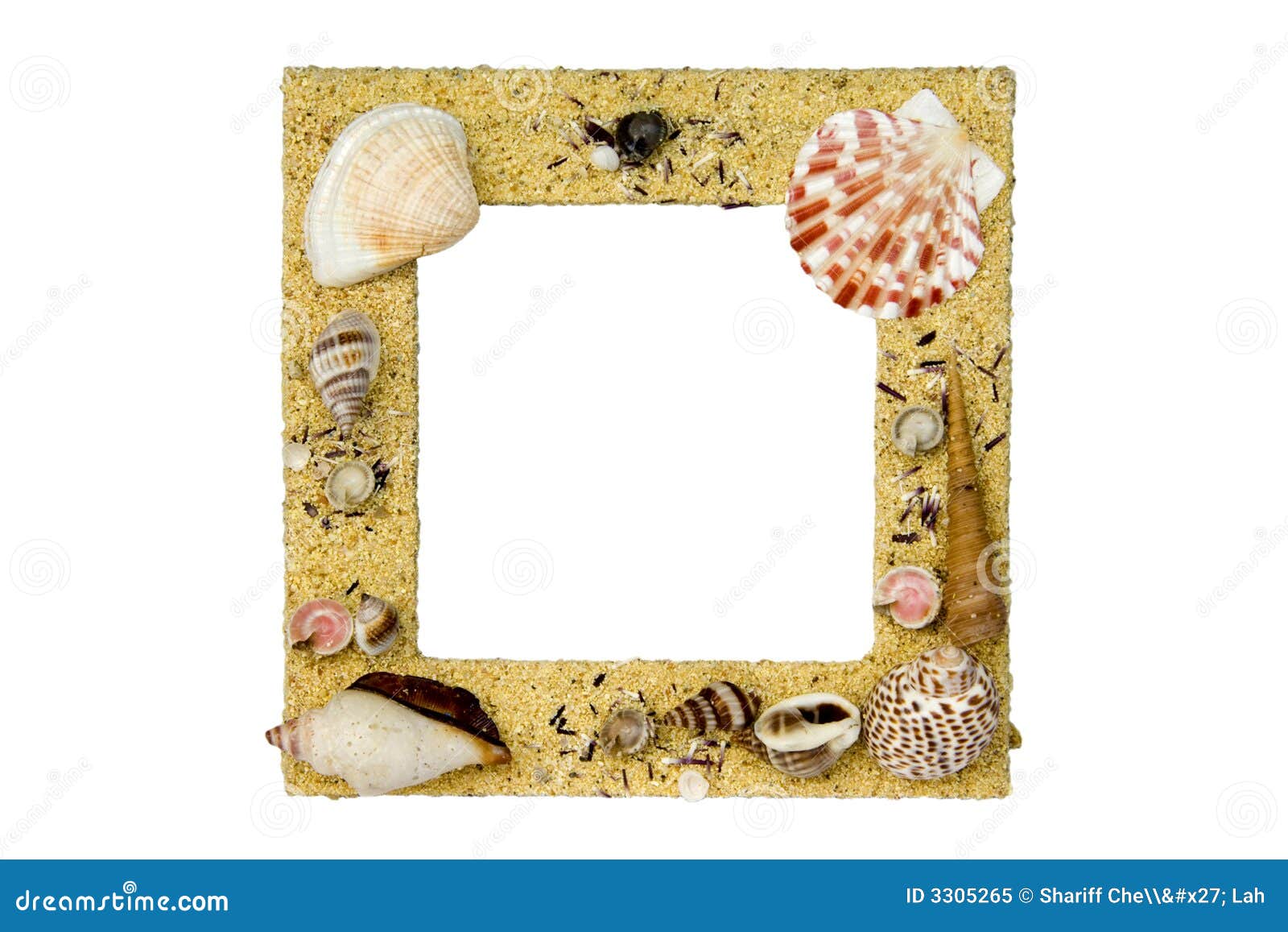 Sea Shell Picture Frame stock image. Image of seashell - 3305265