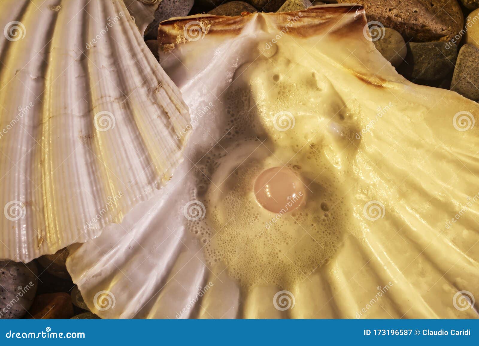Sea Shell with a Pink Pearl Inside Stock Image - Image of luxurious ...