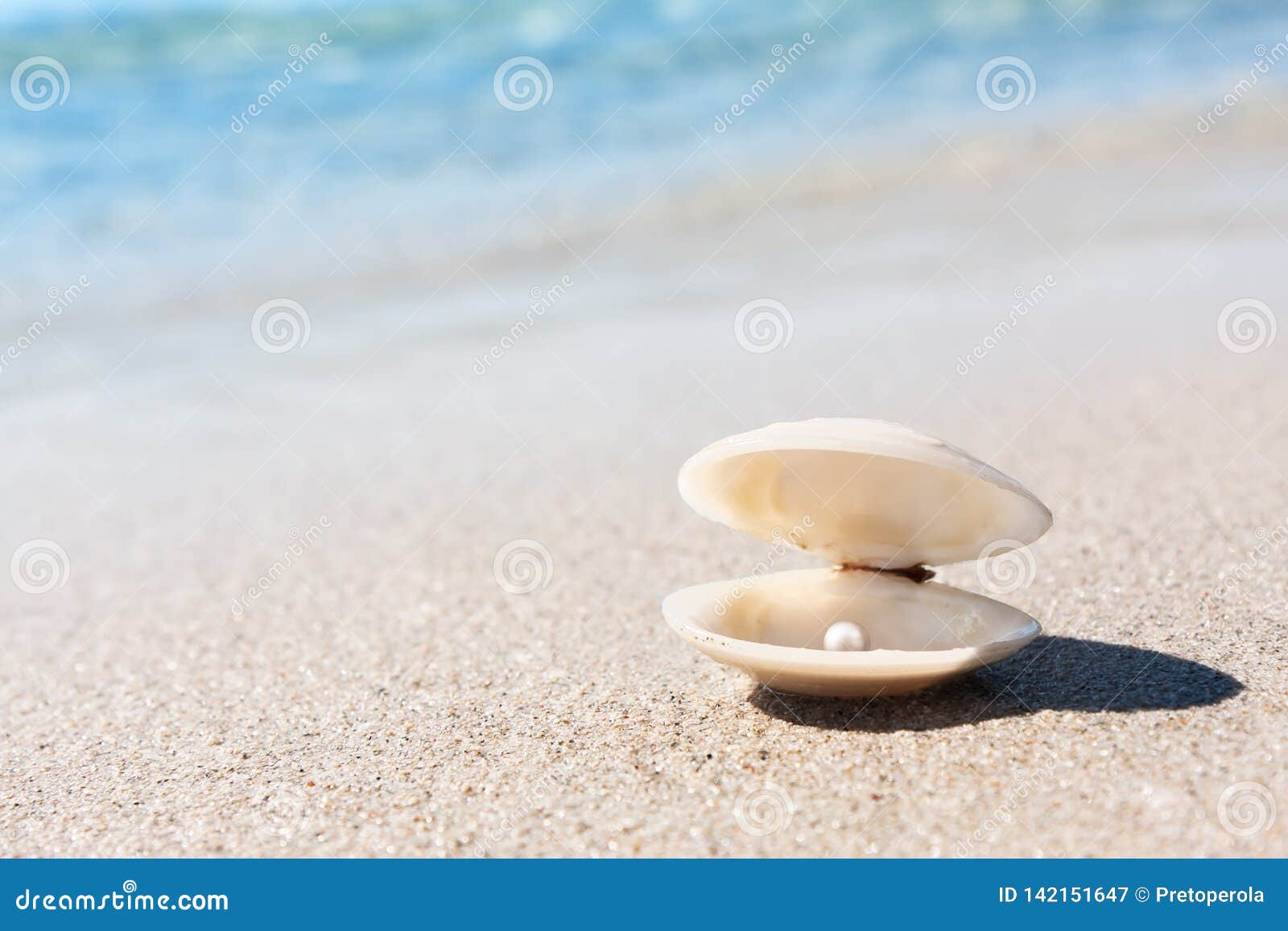 Sea Shell with Pink Pearl on the Sandy Beach Stock Image - Image of ...