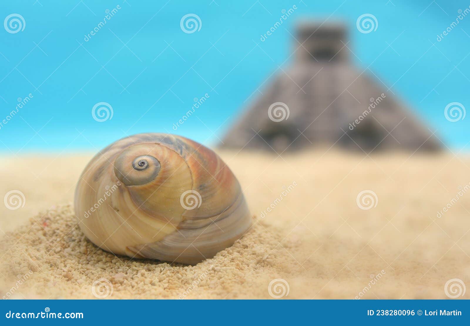 Sea Shell with Pyramid, Shallow Depth of Field Stock Photo - Image of ...
