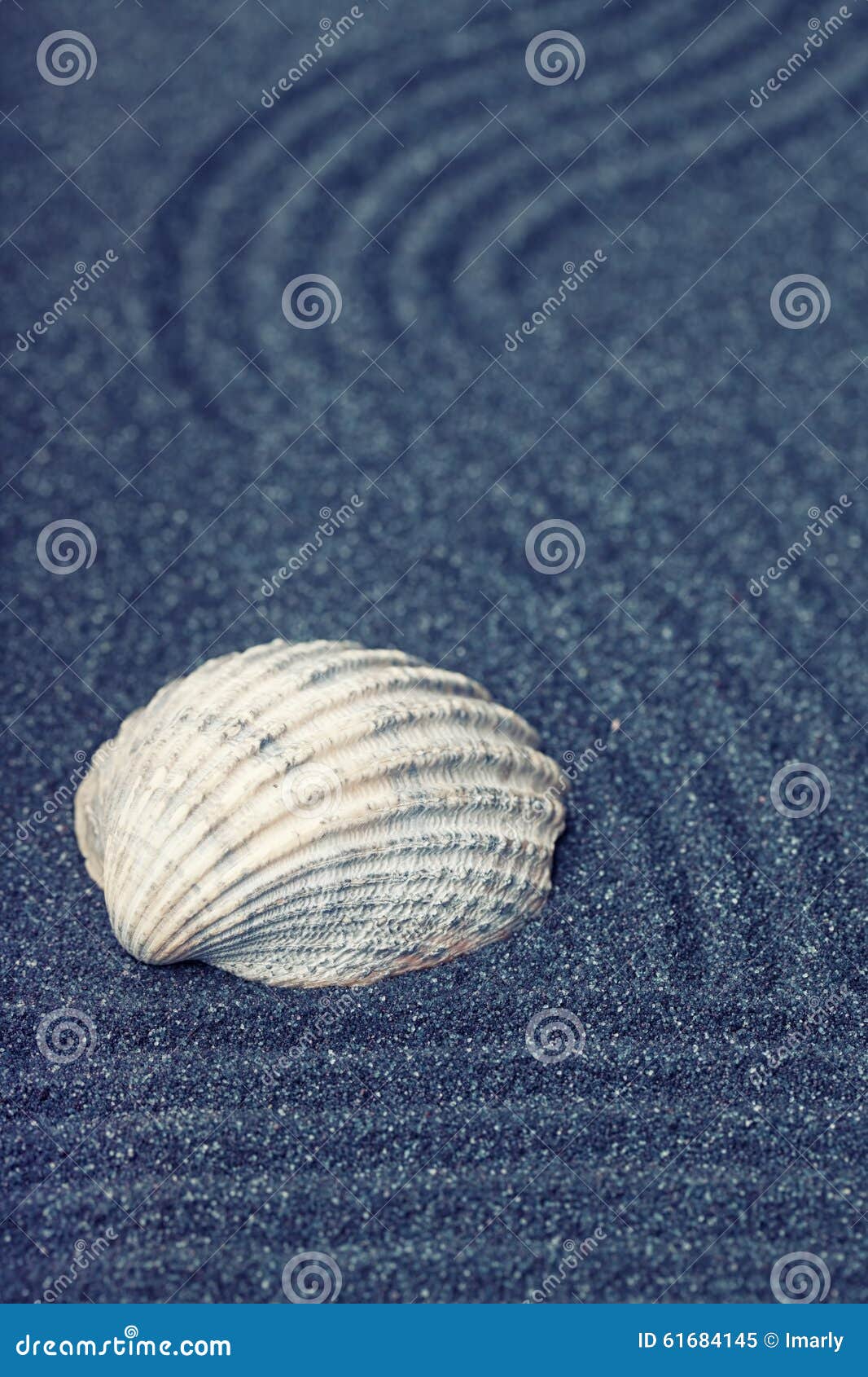 The Sea Shell in a Relaxing Zen Garden with Black Sand Stock Image ...