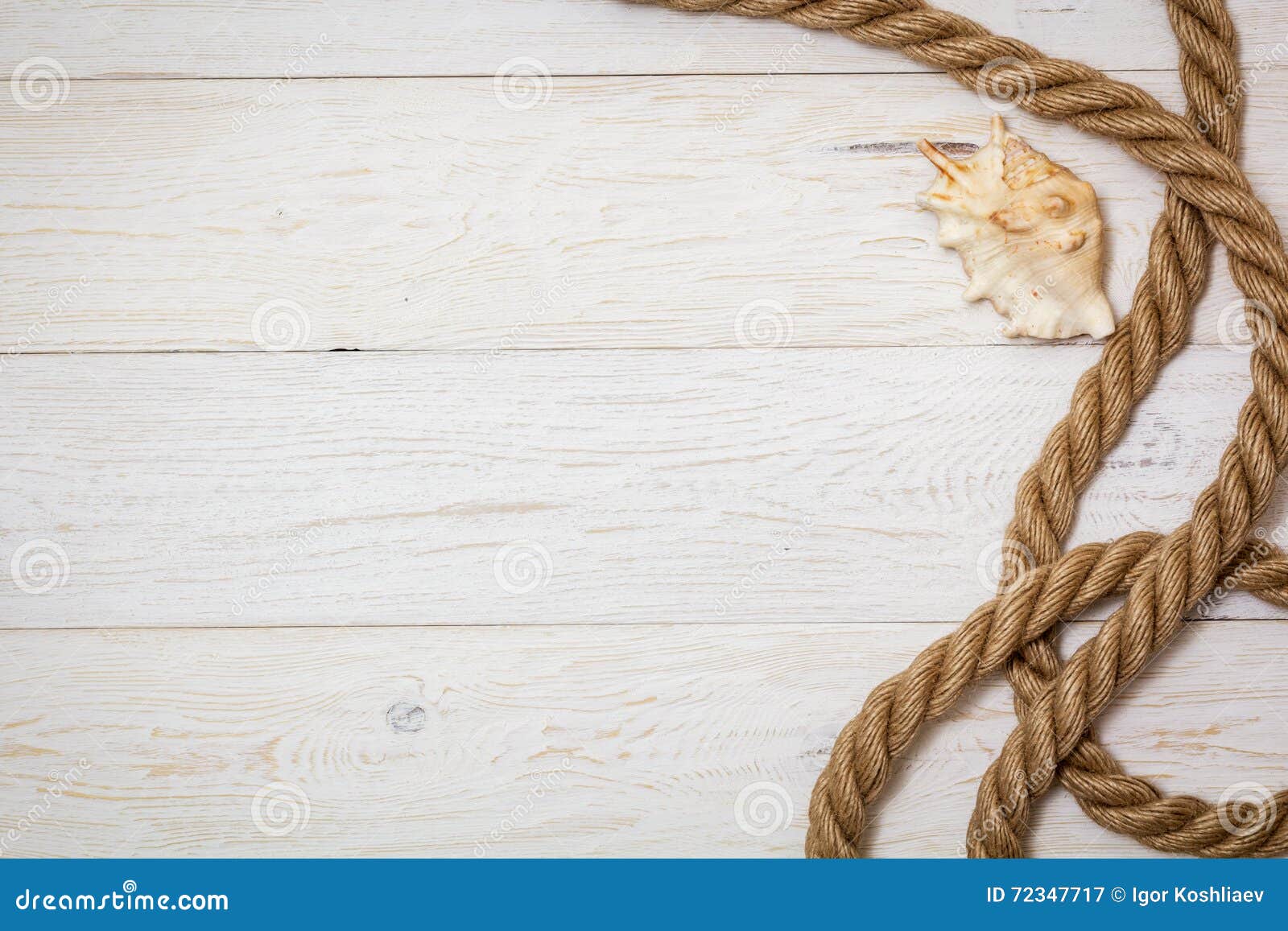 Sea Shell and Rope on White Boards Stock Image - Image of copyspace ...