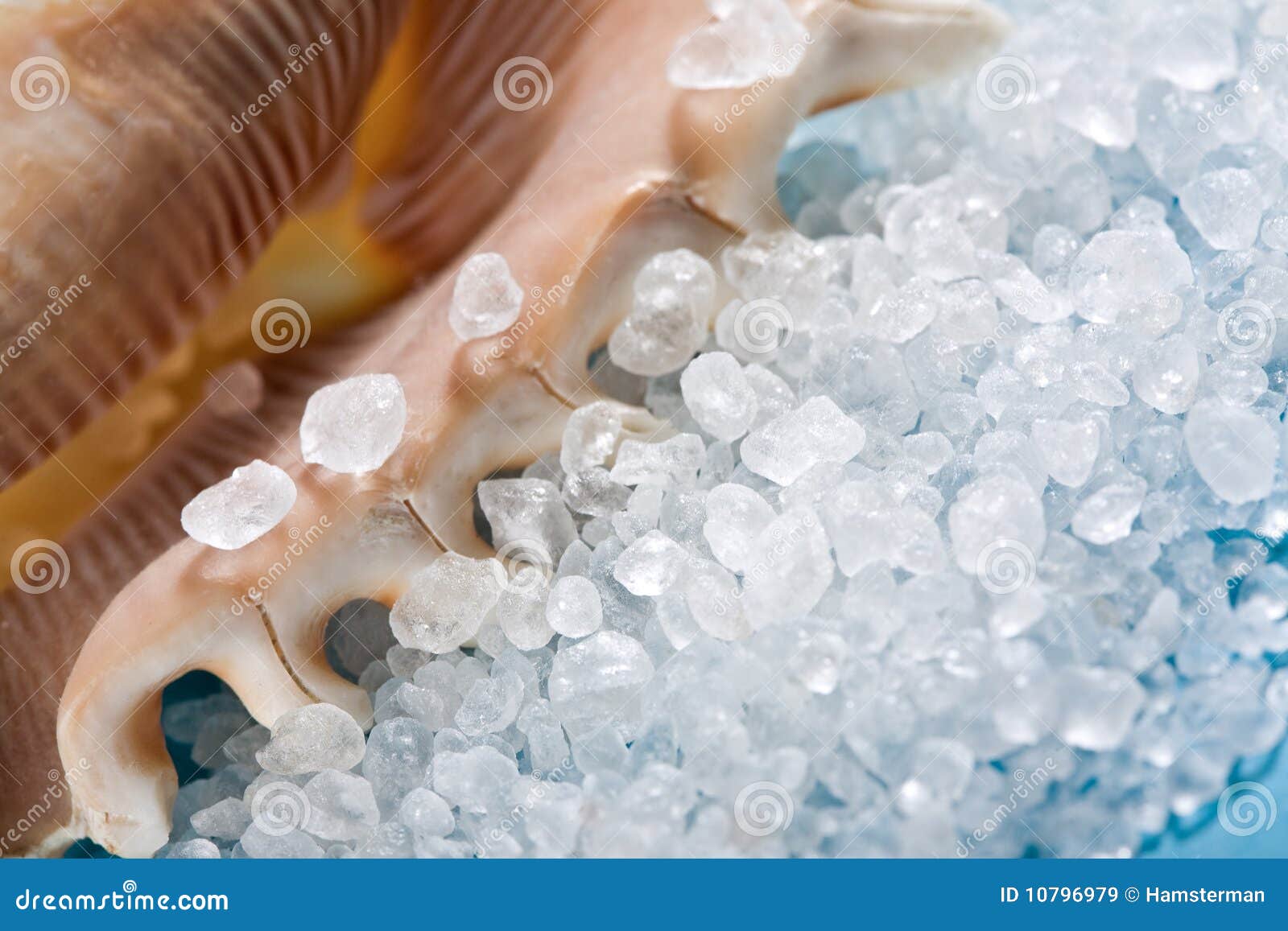 Sea Shell with Salt on Blue Stock Image - Image of close, blue: 10796979