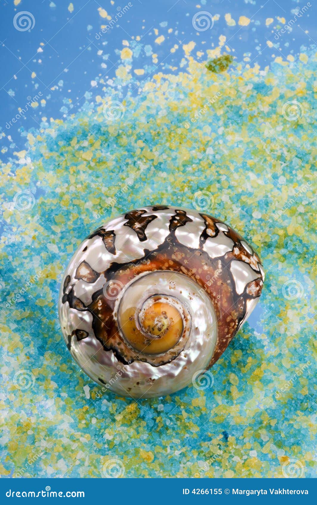 Sea shell on salt grains. stock image. Image of objects - 4266155