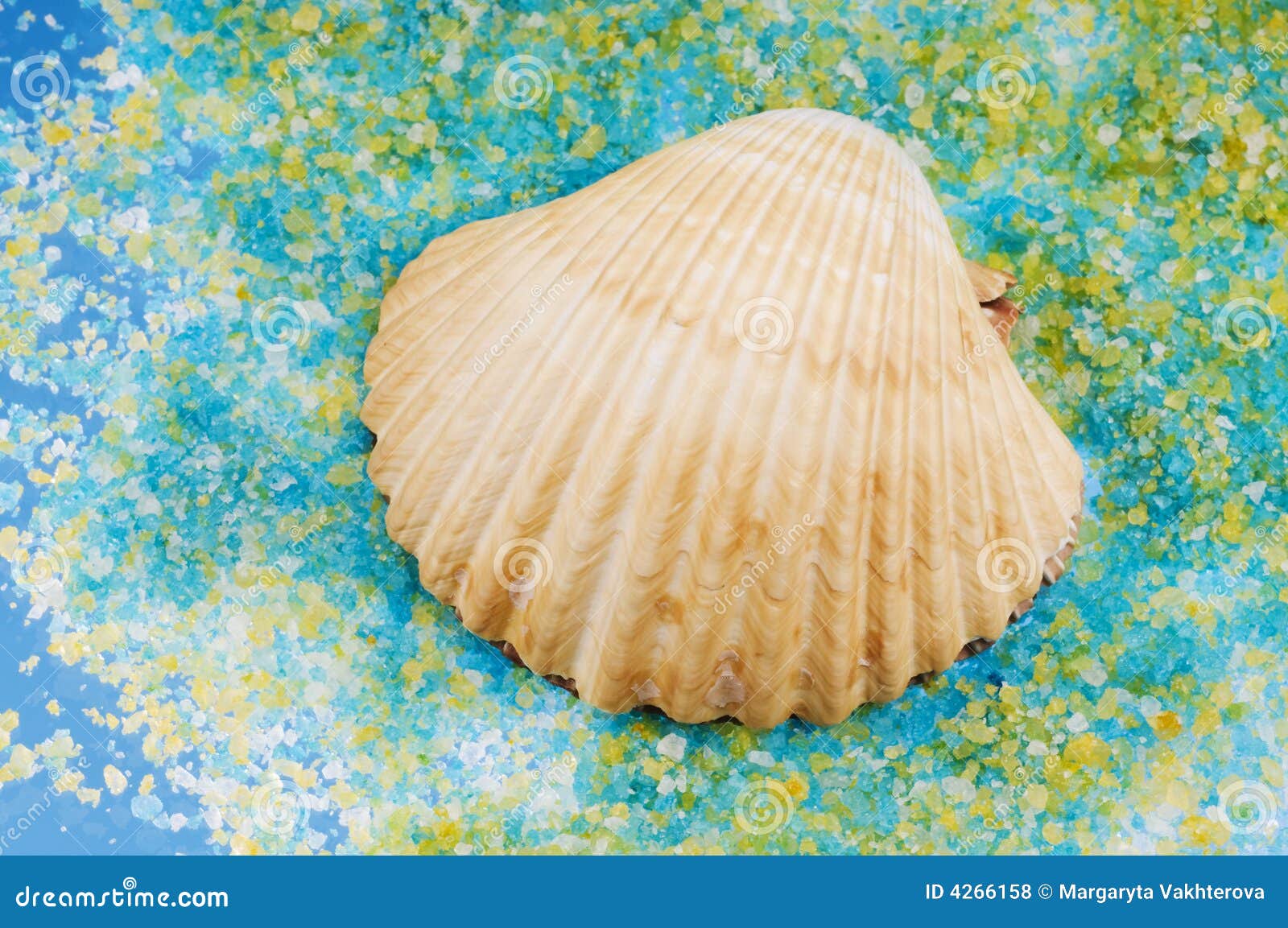 Sea shell on salt grains. stock photo. Image of healthy - 4266158