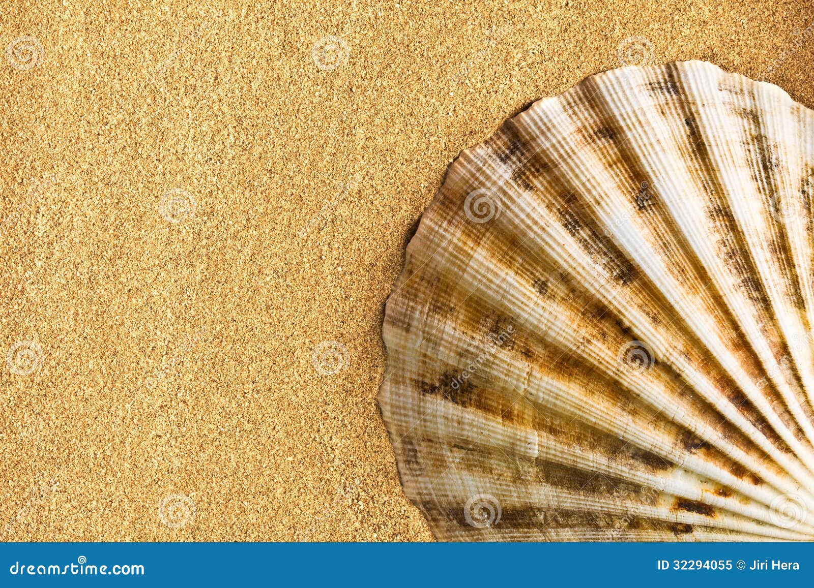 Sea shell on sand stock image. Image of wallpaper, nautilus - 32294055