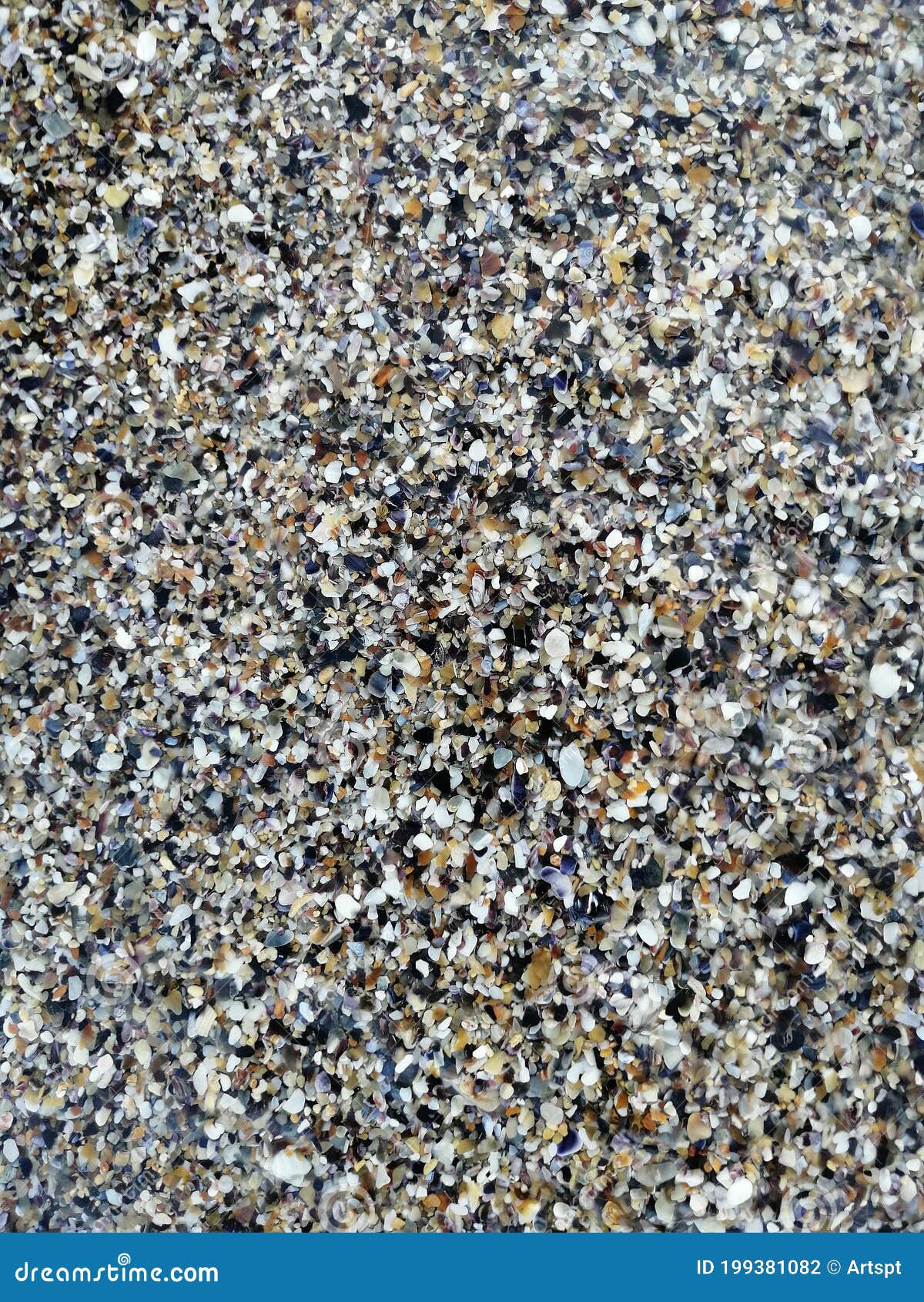 Sea Shell Sand Texture 1 stock photo. Image of texture - 199381082