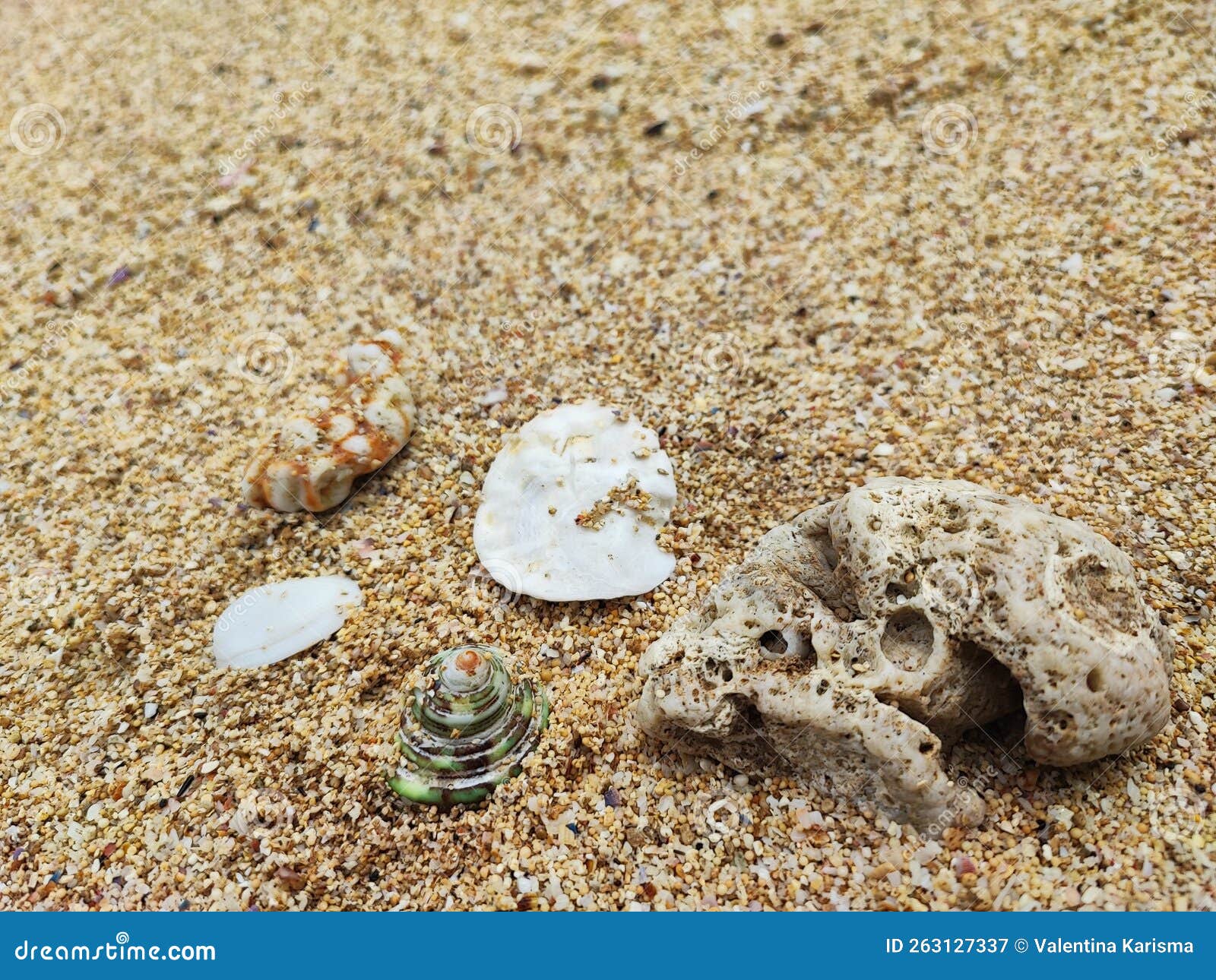 Sea Shell on the Sand Wallpaper Background Stock Image - Image of dish ...