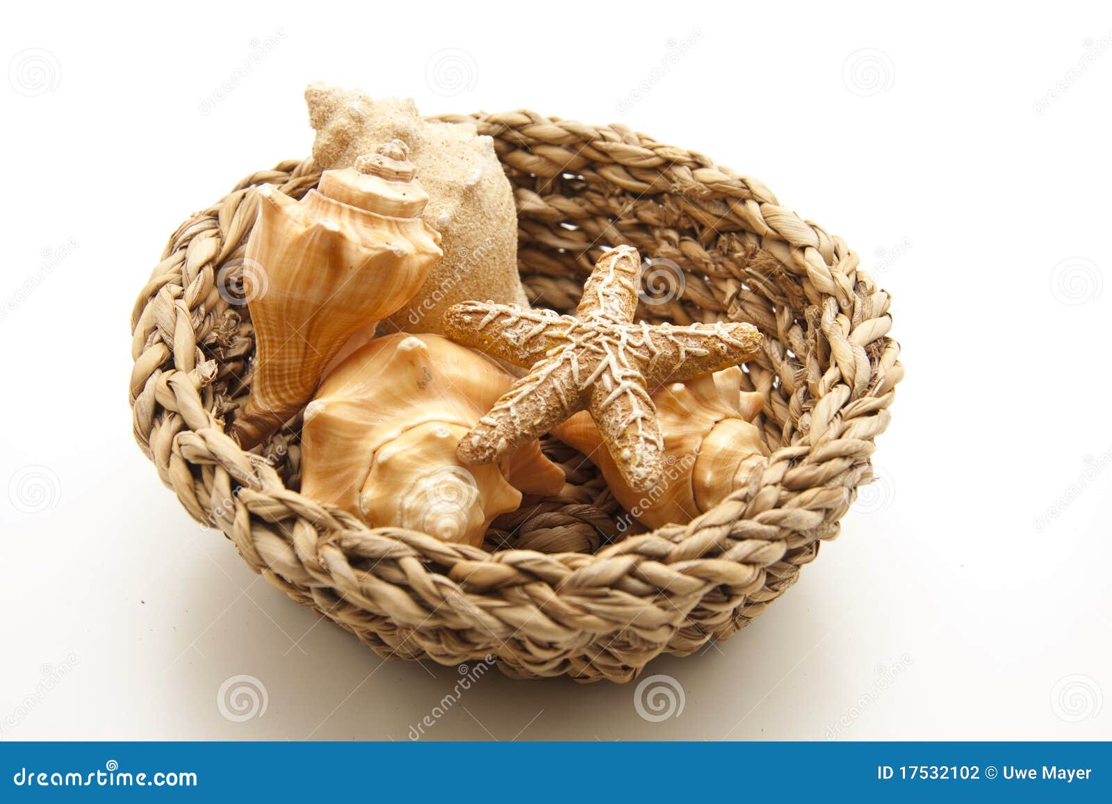 Sea shell and sea star stock photo. Image of beach, star - 17532102